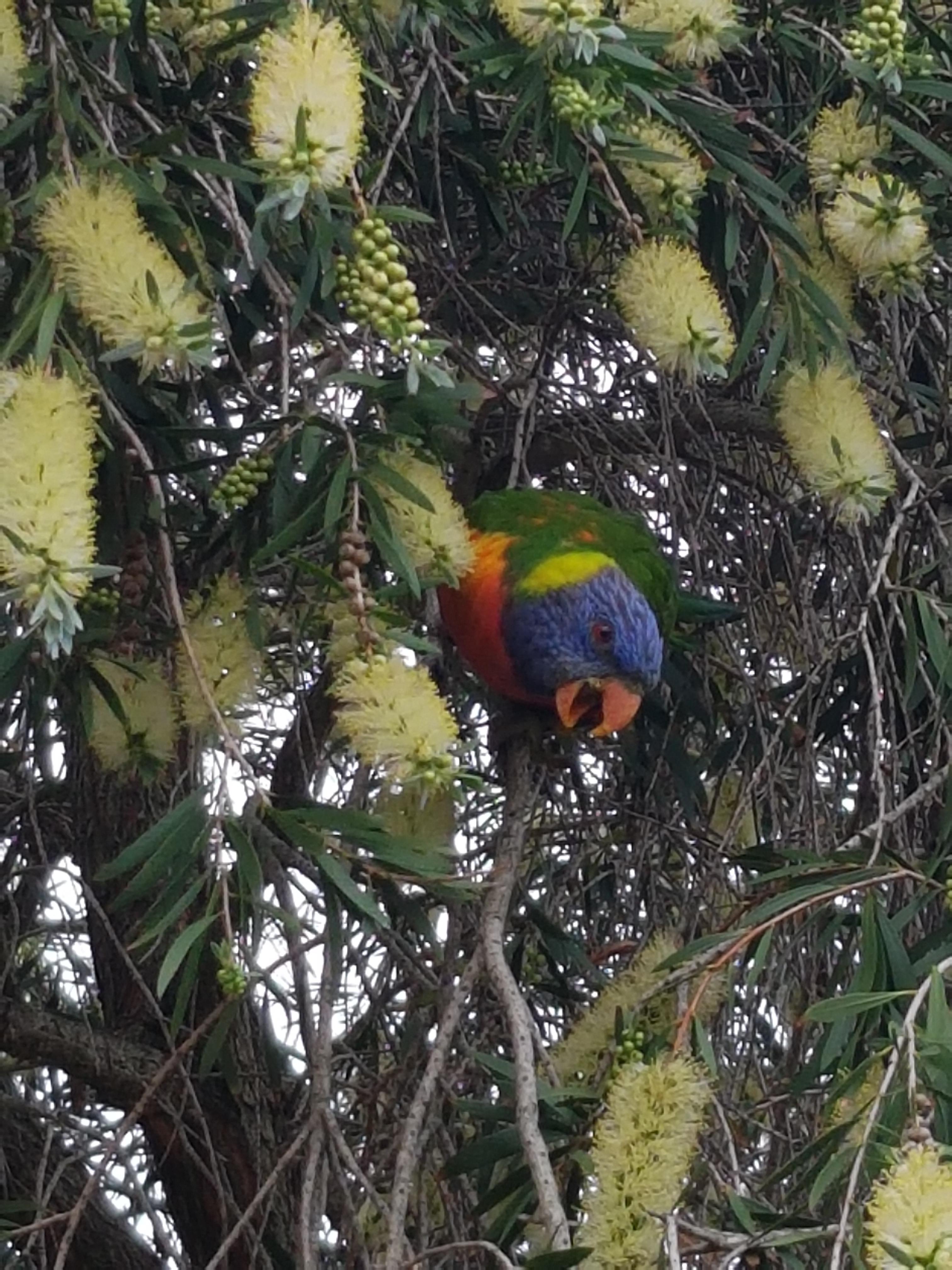 "OI MATE YA GOT A DART?" | Scrolller