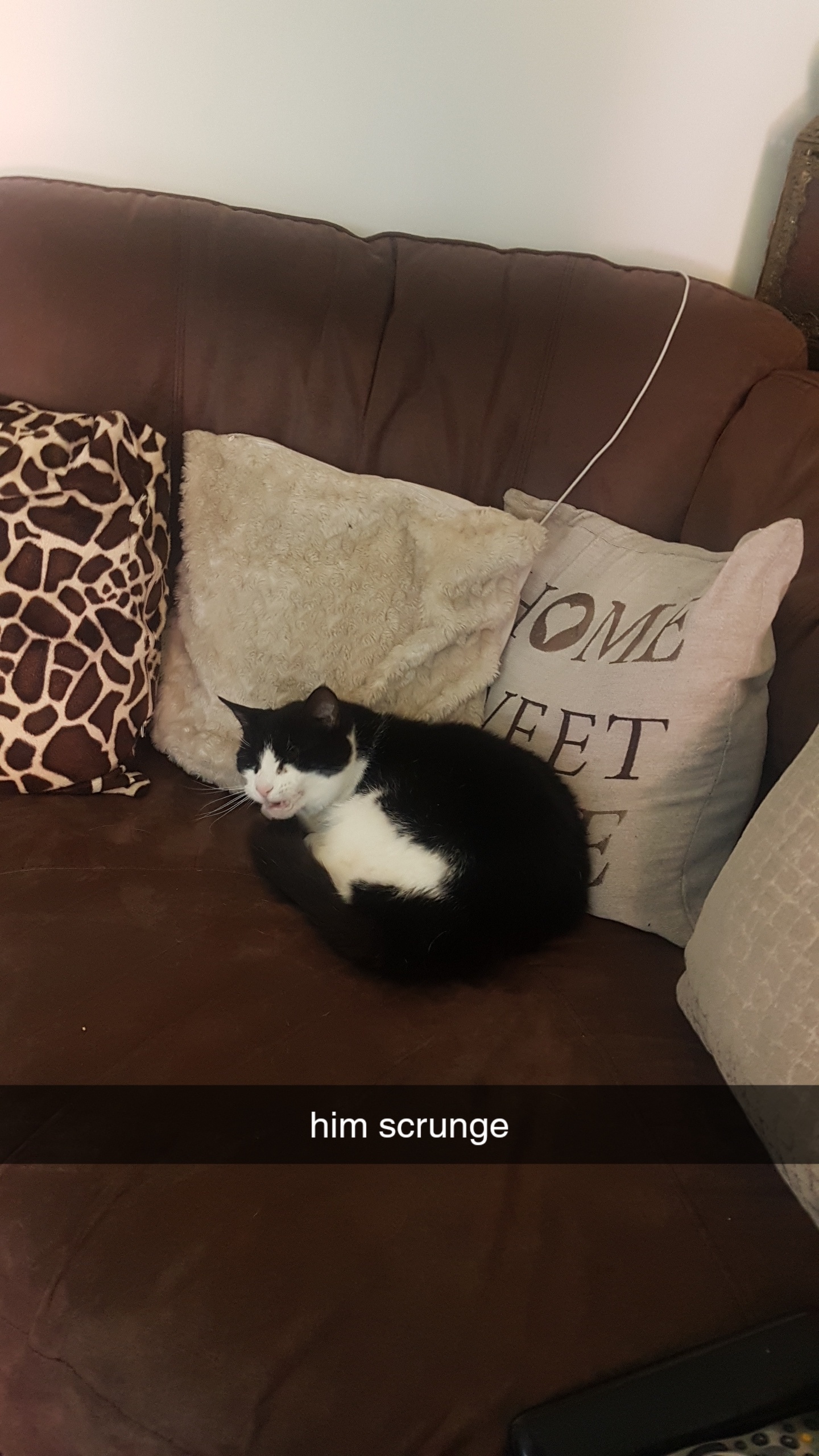 old man scrunge | Scrolller