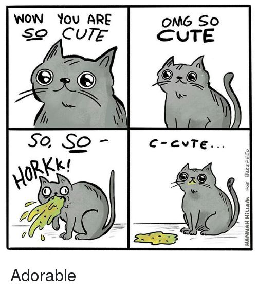 omg so cute | Scrolller