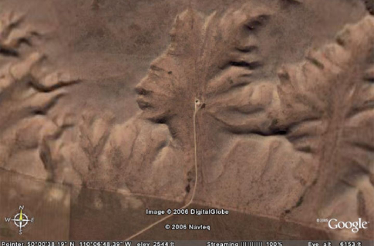 On Google maps | Scrolller