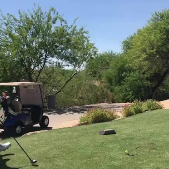 On The Course | Scrolller