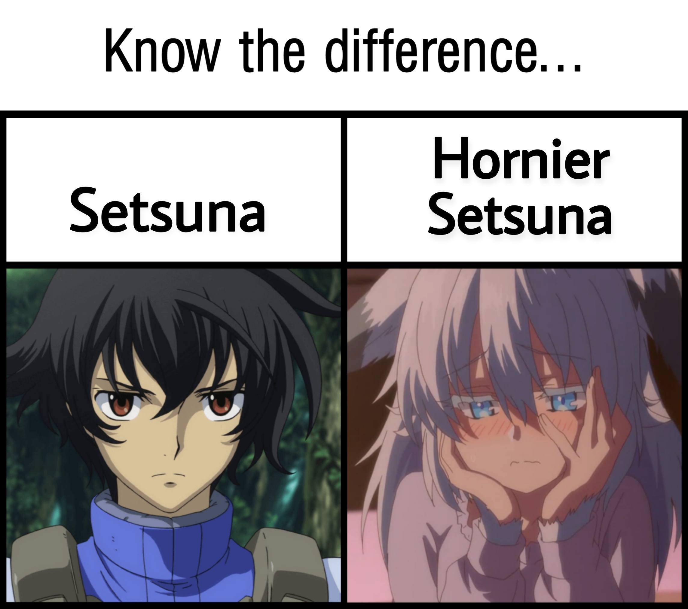 One is a Gundam and one is demi-human.. | Scrolller