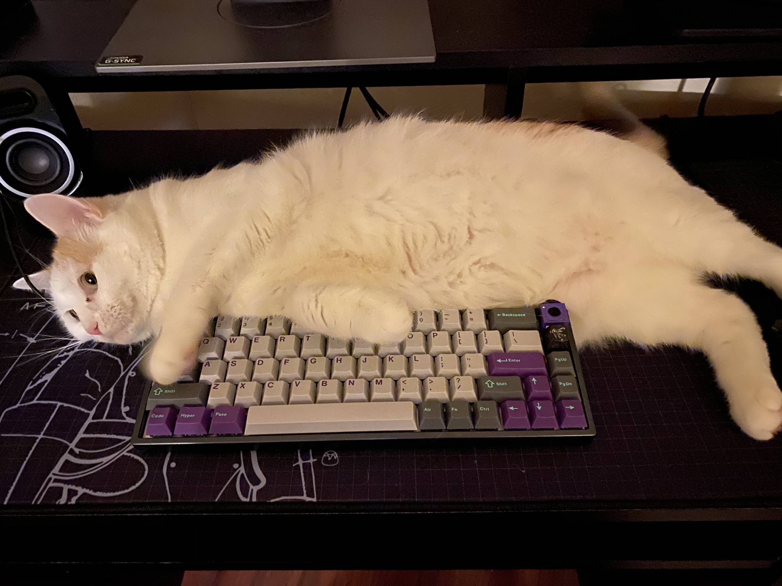 One of his favorite spots | Scrolller