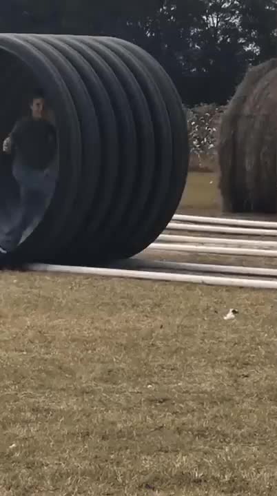 HMJB because I'm on a roll. | Scrolller