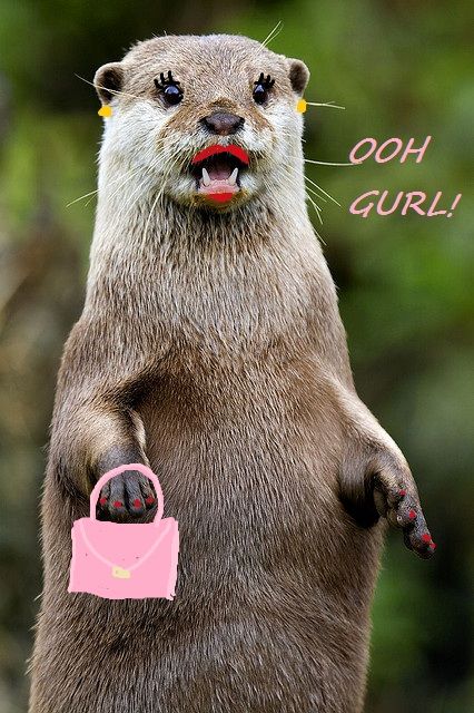 Ooh, gurl! | Scrolller