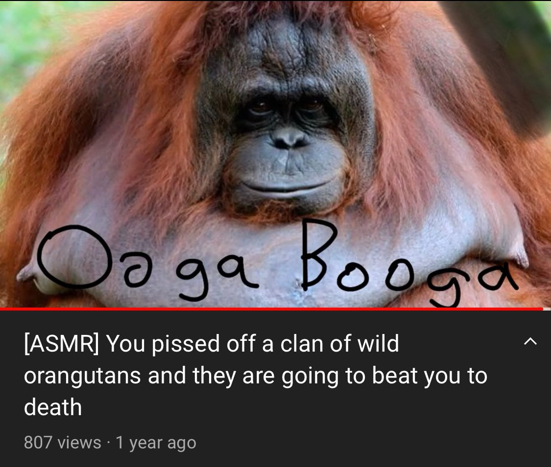 Ooo oOH how I sleep every night | Scrolller