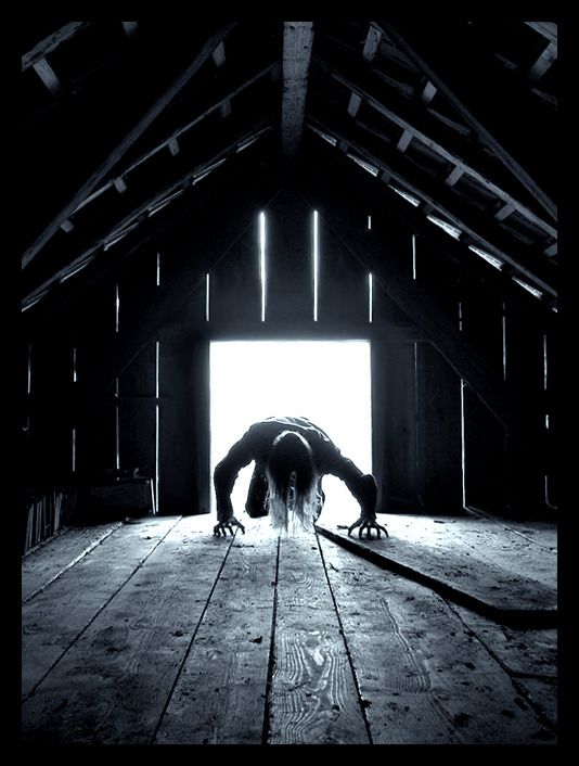 oops wrong hayloft | Scrolller