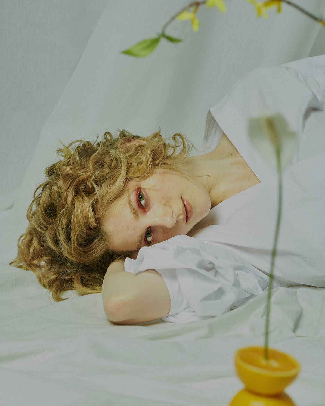 Orange 3 | Scrolller