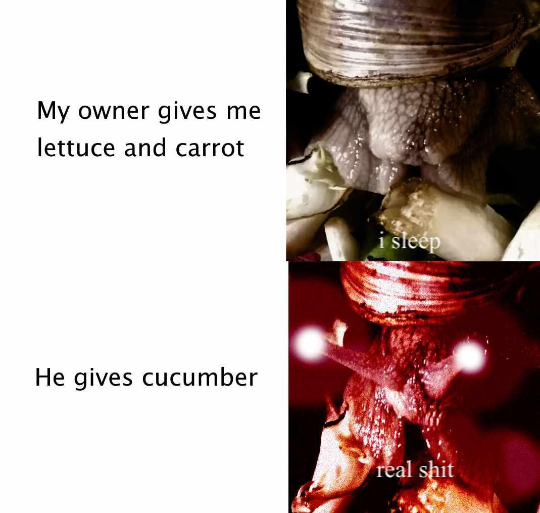 Original title | Scrolller