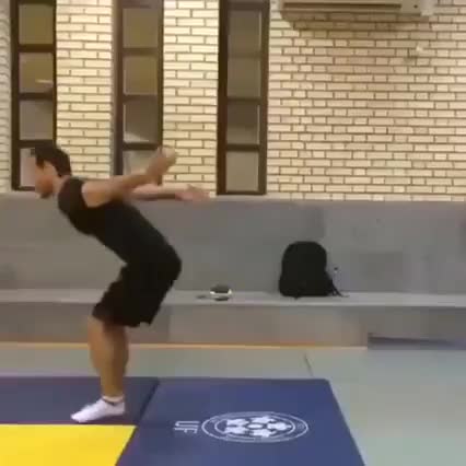 [Other] Impressive back flip [X-post /r/gifs] | Scrolller