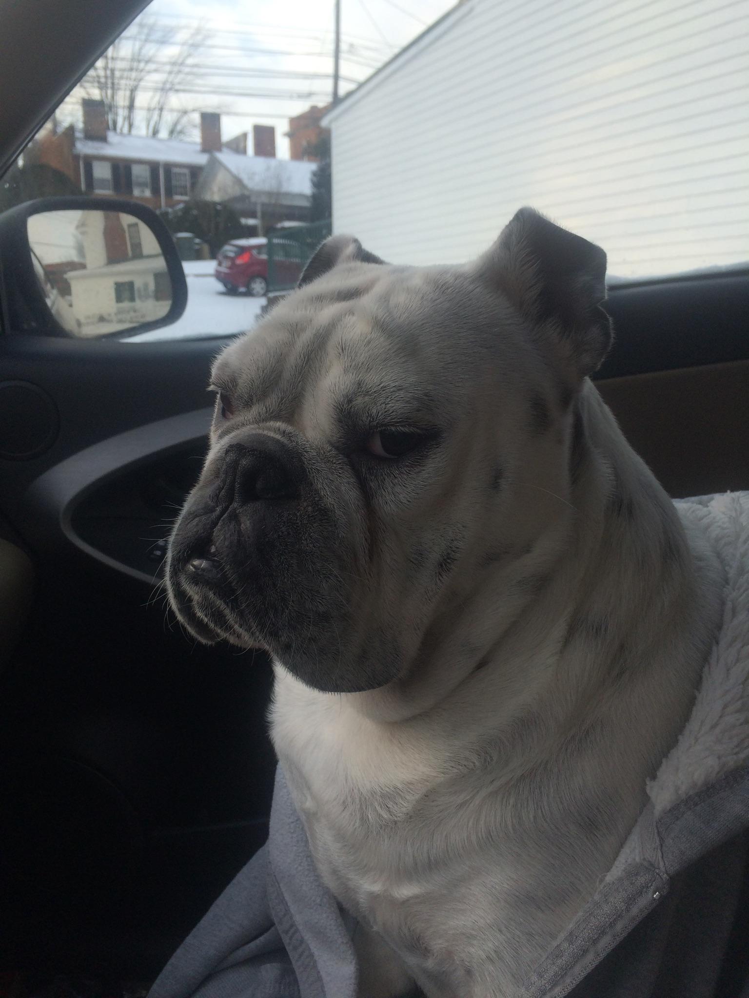 Otis and his serious face. | Scrolller