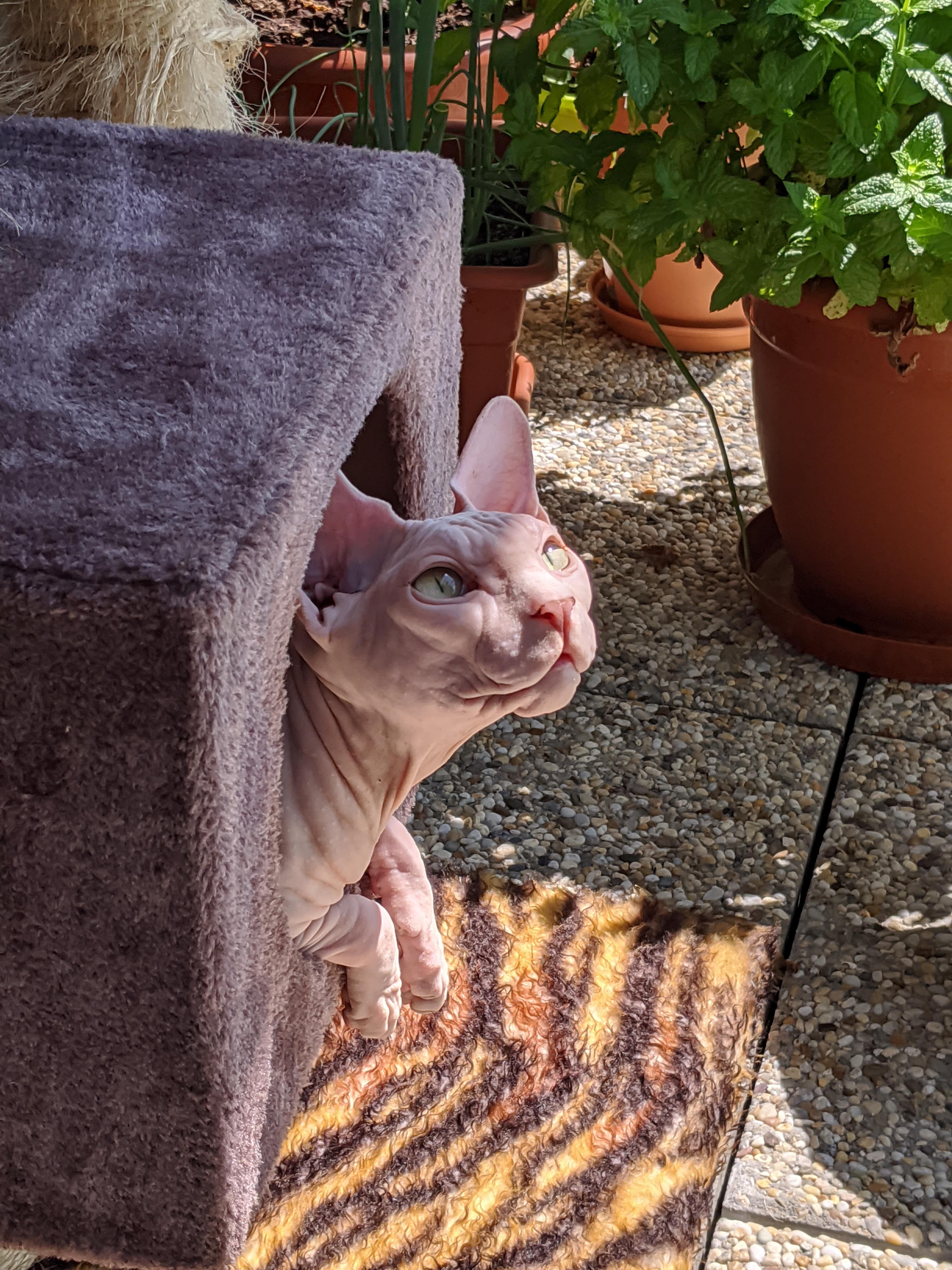 Our boy is being very handsome today | Scrolller