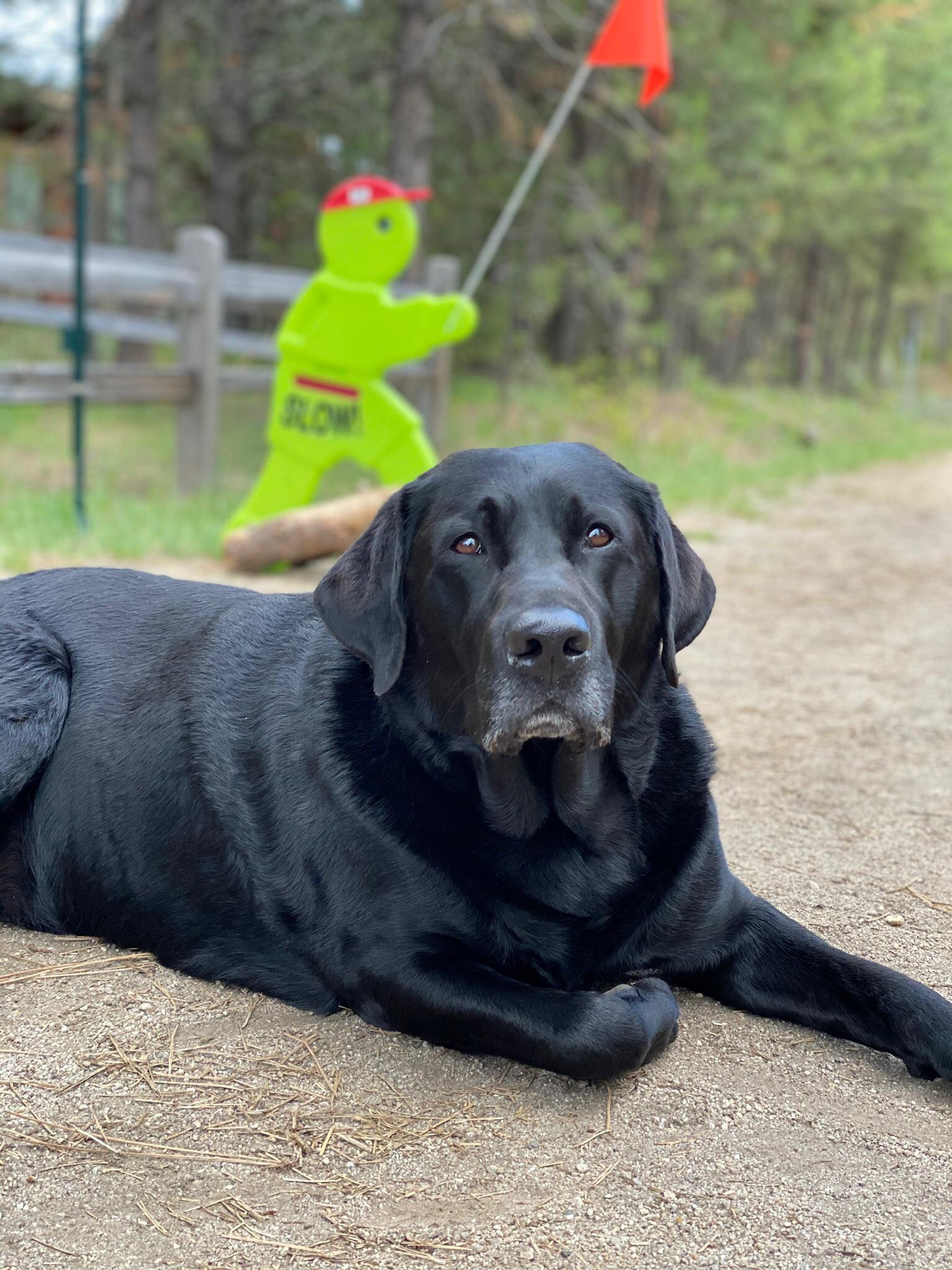 Our Cascade traffic cop | Scrolller