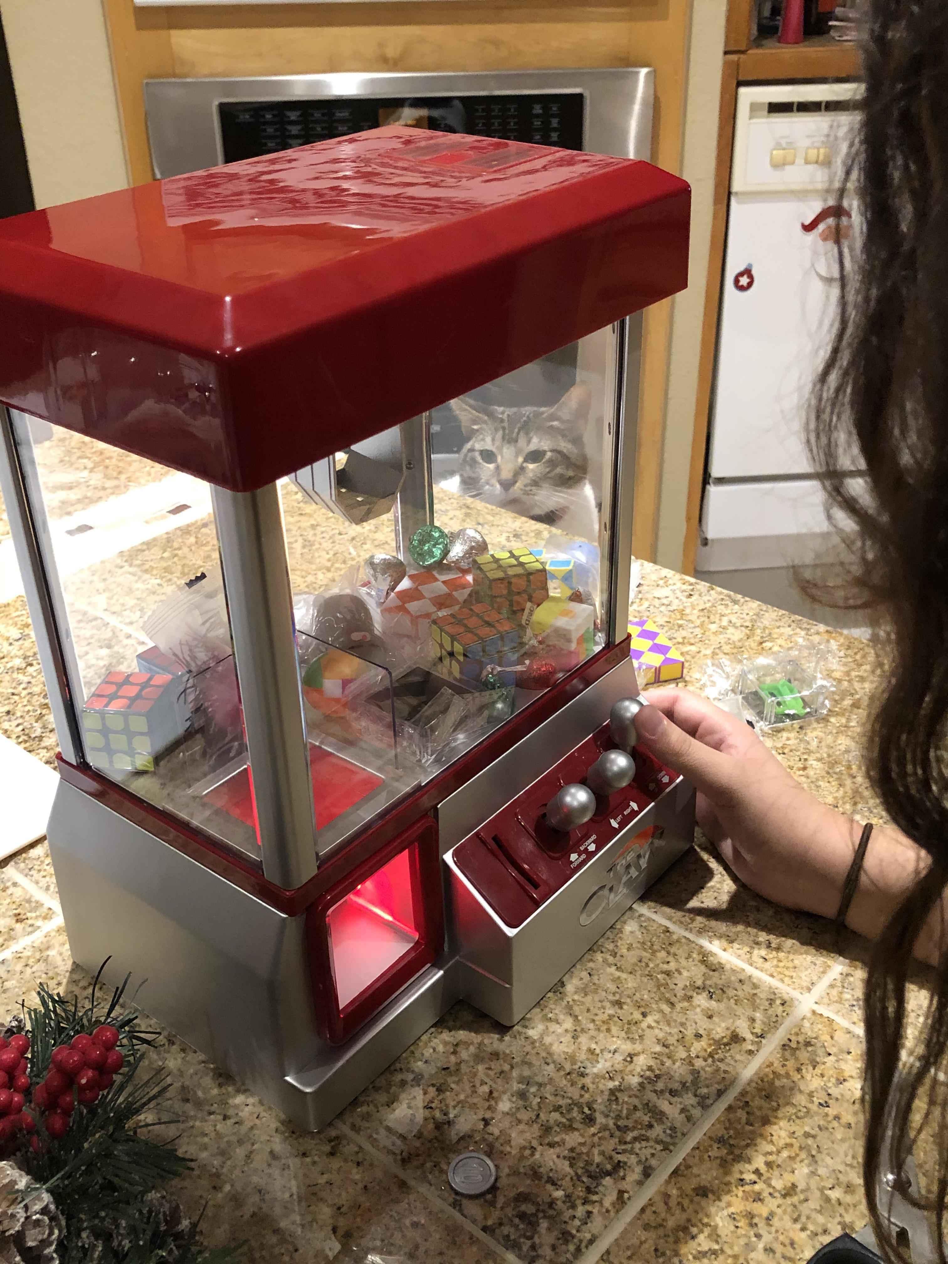 Our cat is fat, but she likes claw machines. | Scrolller