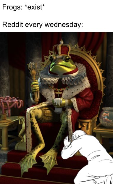 our king | Scrolller