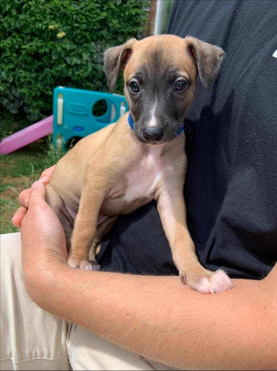 Our little boy, Kobe | Scrolller