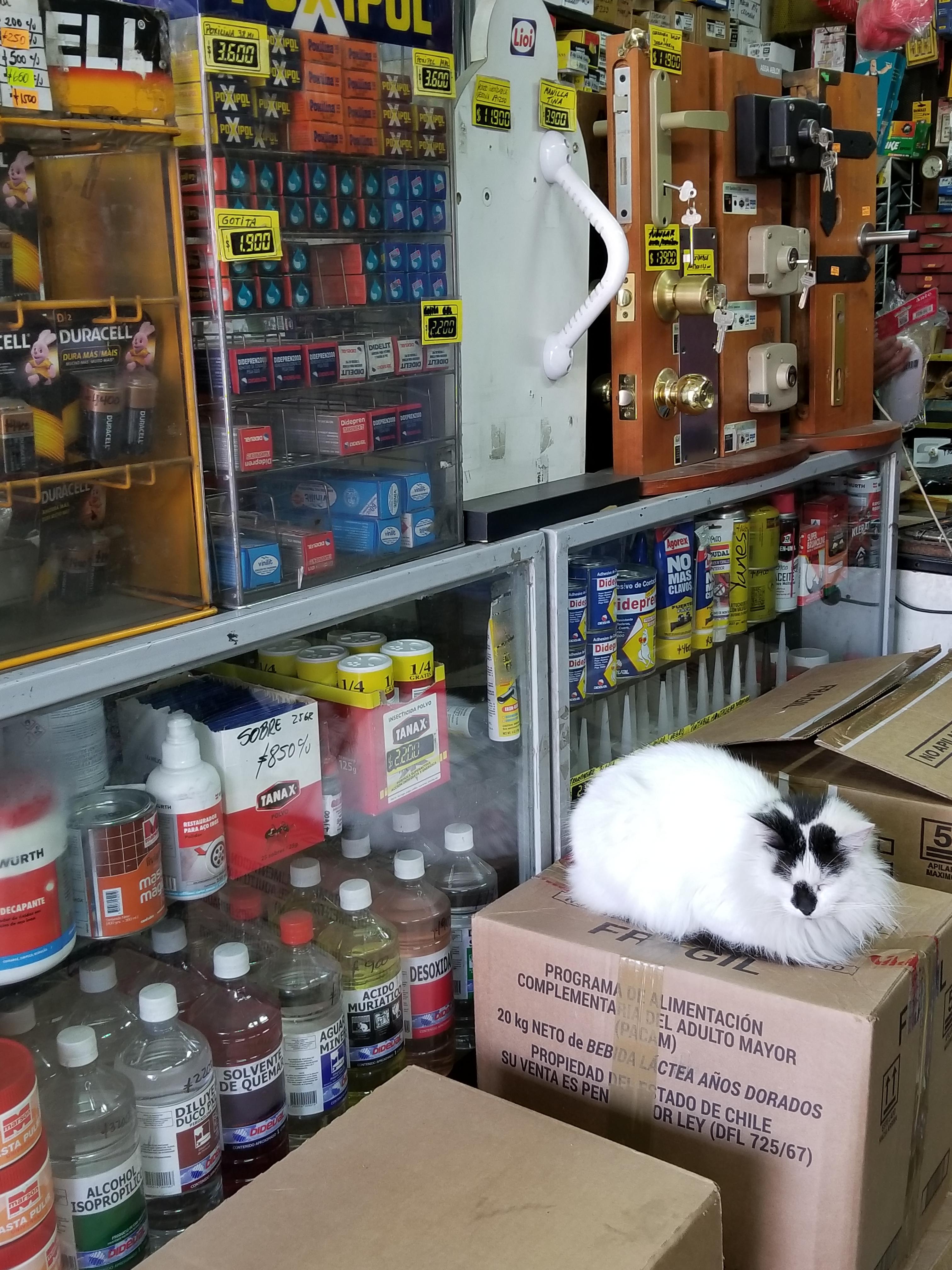 Our local hardware store clerk | Scrolller