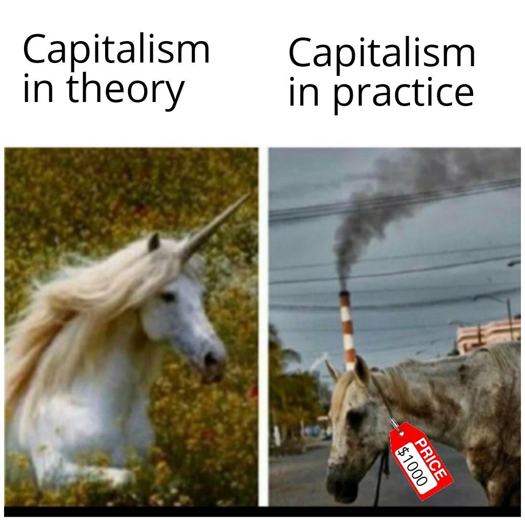 OUR meme | Scrolller