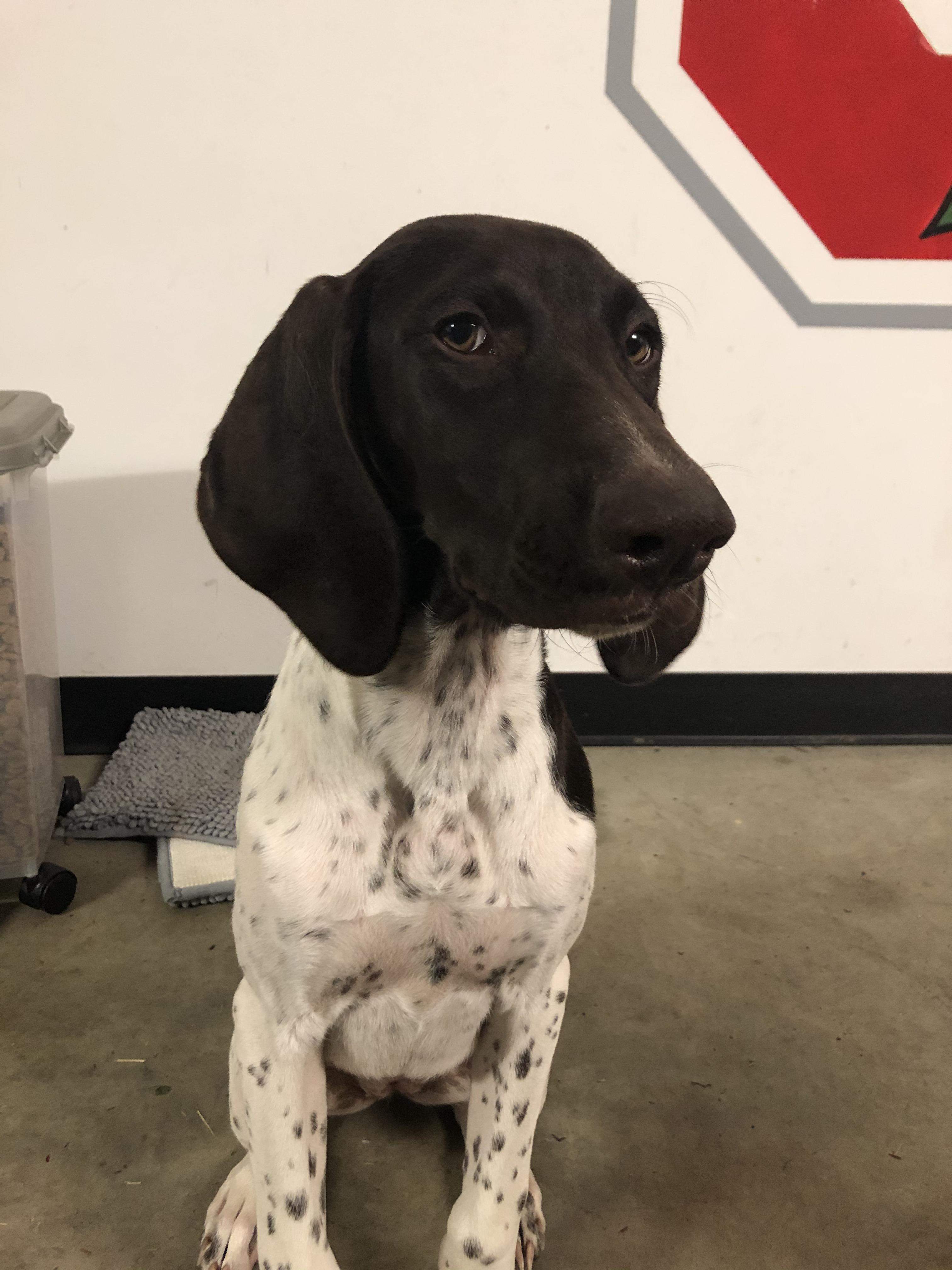 Our New Buddy Shes Pretty Cute Scrolller