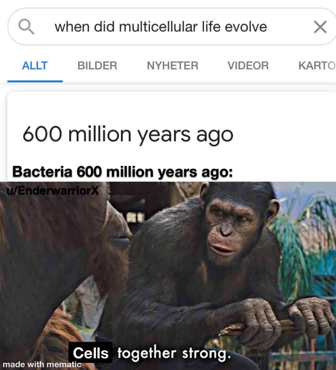 *Our* nutrients | Scrolller