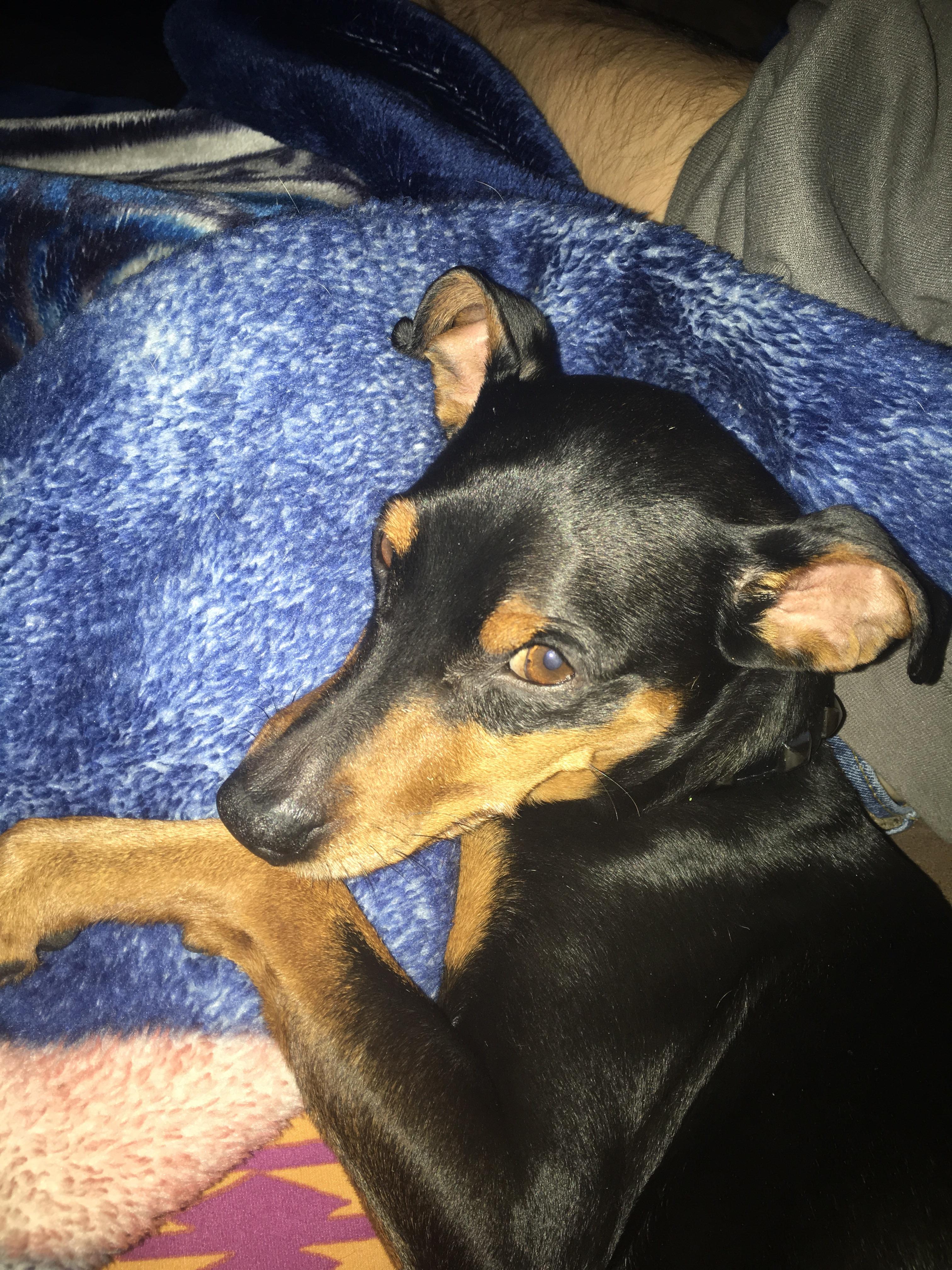 Our snuggle bug! | Scrolller