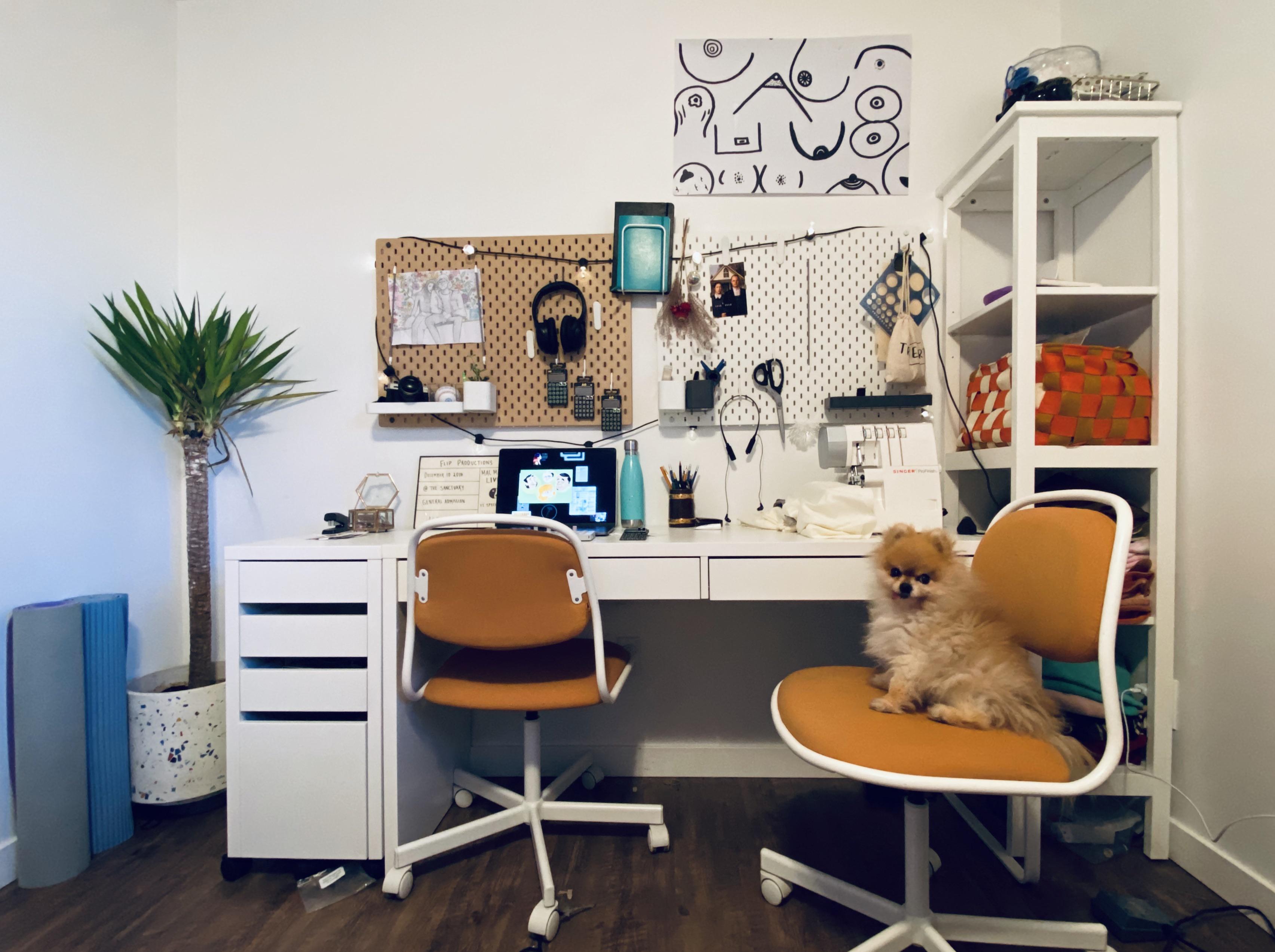 Our tiny little workspace! | Scrolller