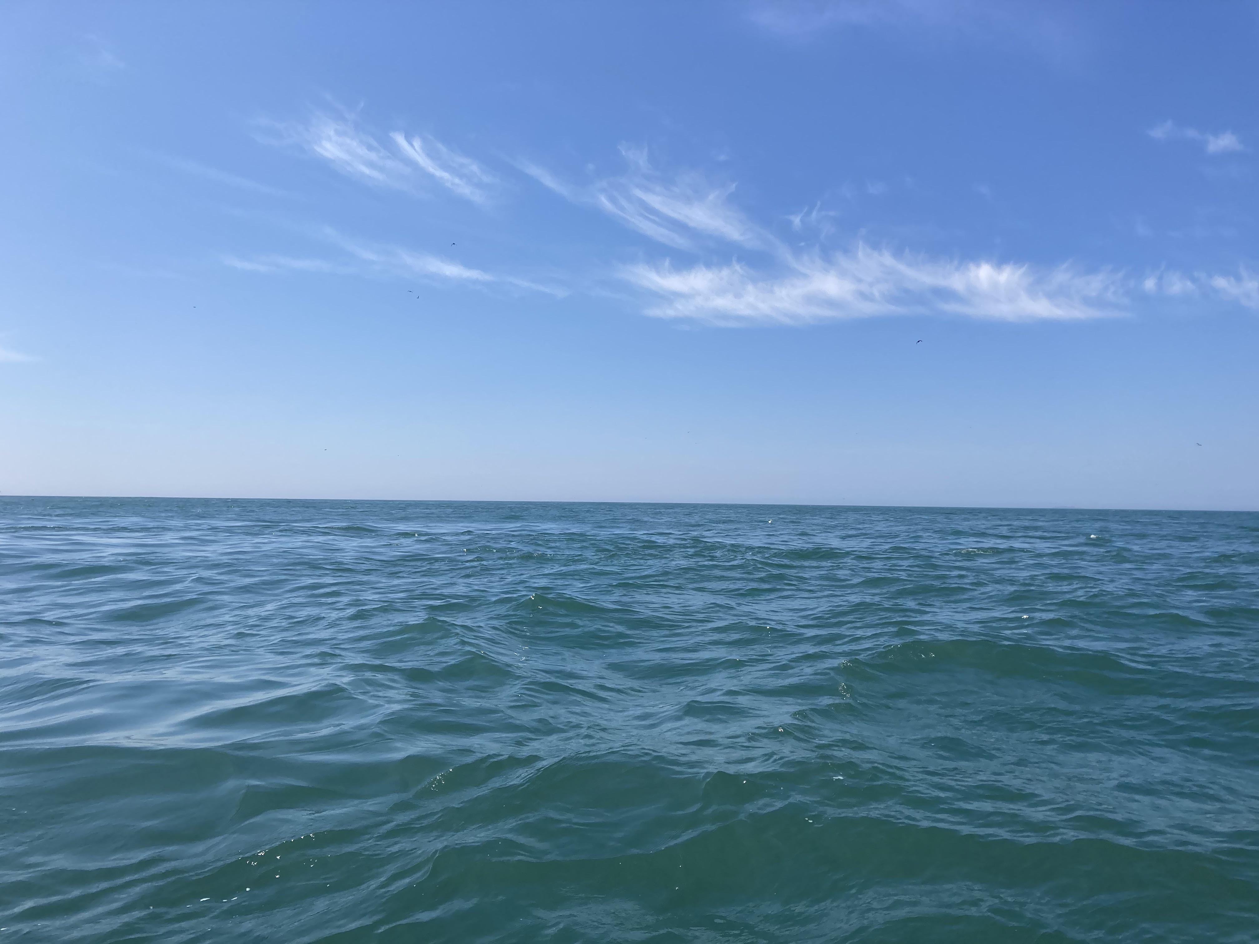 Out at sea 💙 | Scrolller