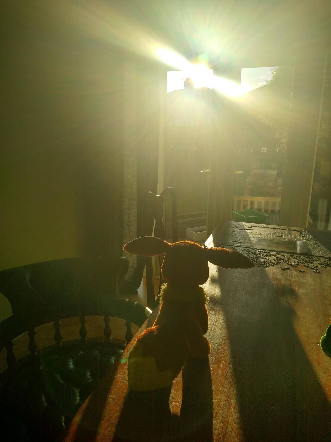 Overly dramatic eevee pic | Scrolller