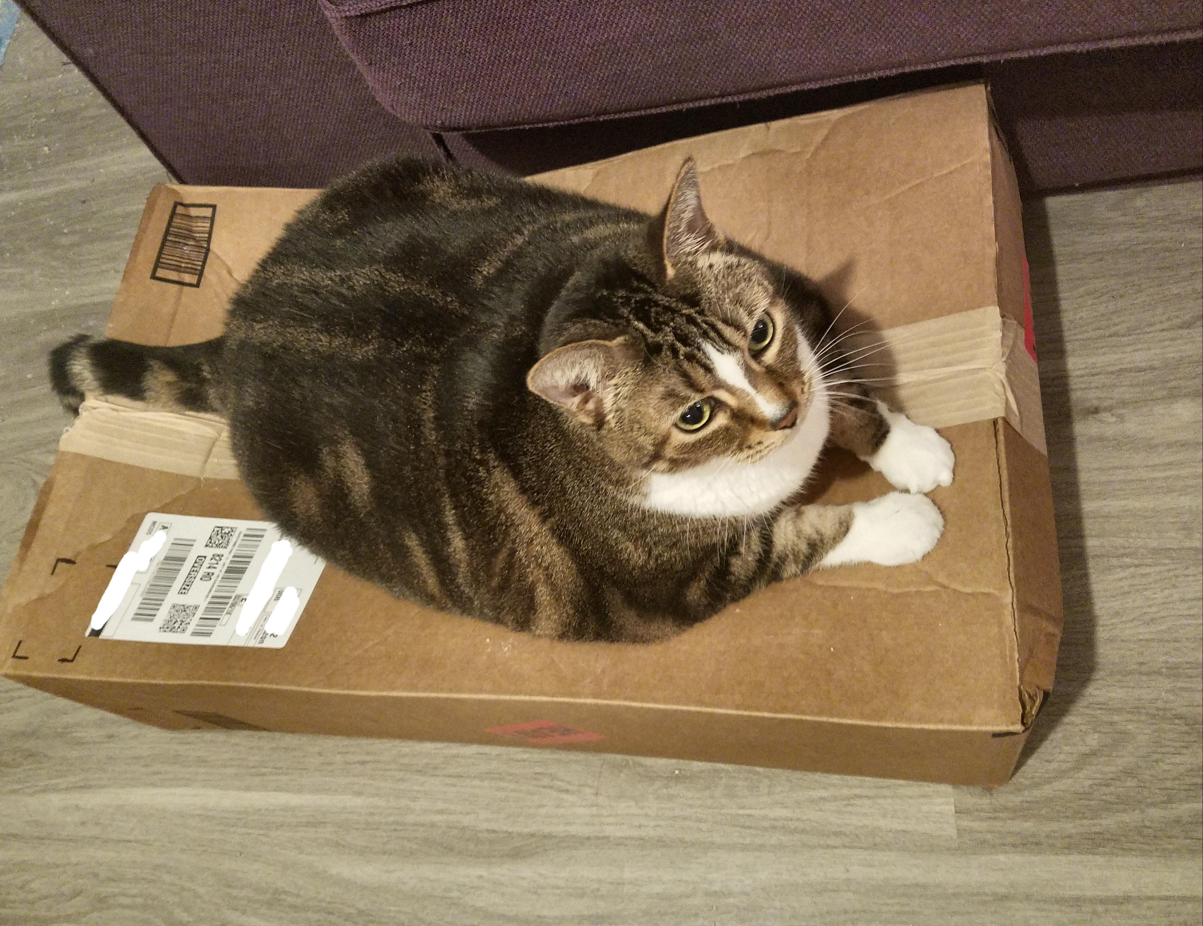 Oversized package | Scrolller