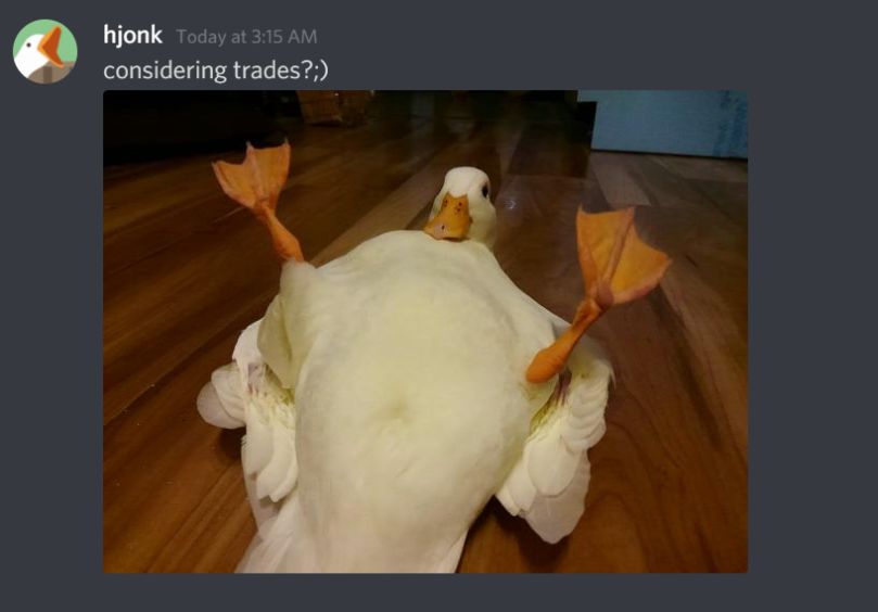 owgoose, what's this? | Scrolller