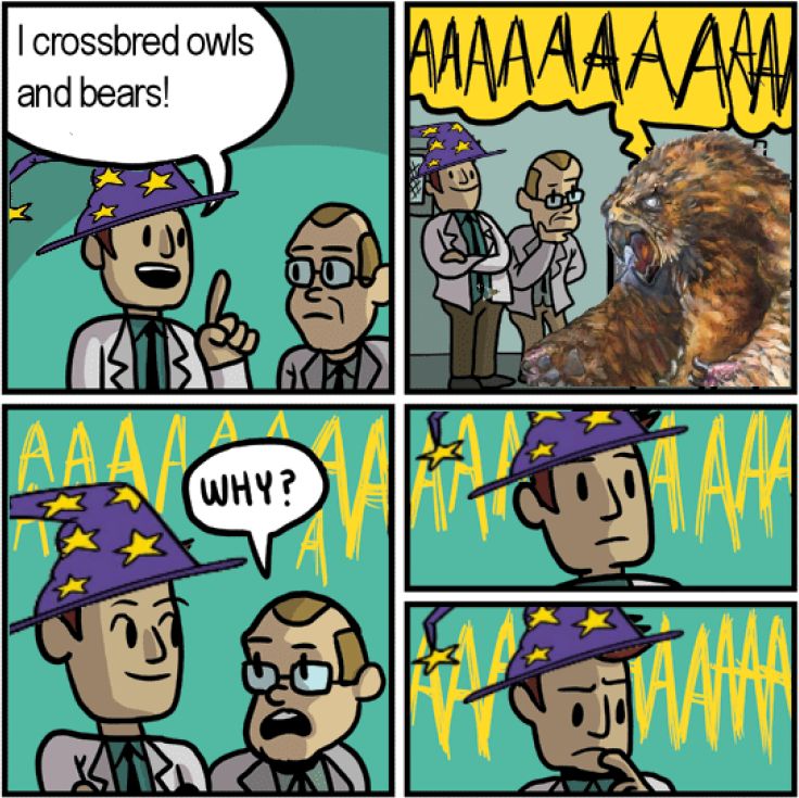 Owlbear Origins | Scrolller