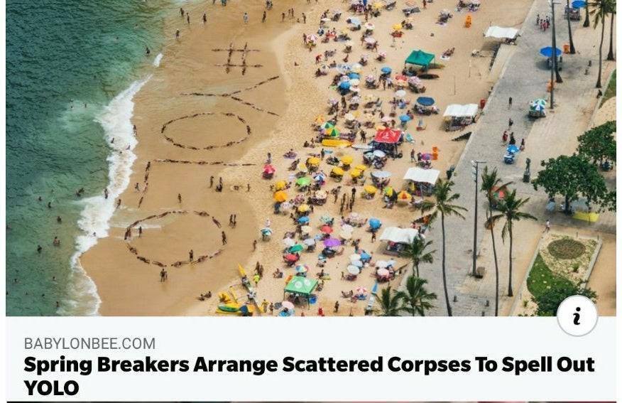 Ozy would be proud | Scrolller