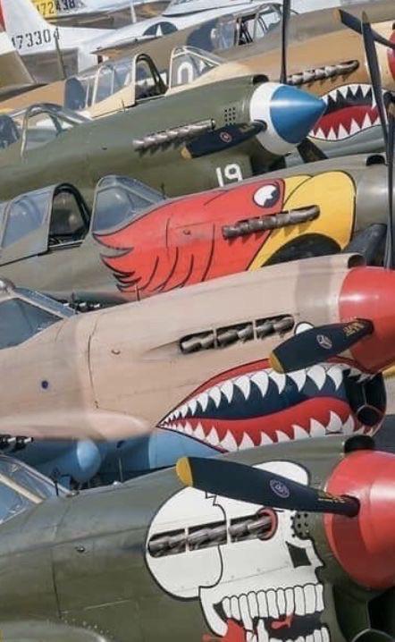 P-40 Warhawk lineup | Scrolller