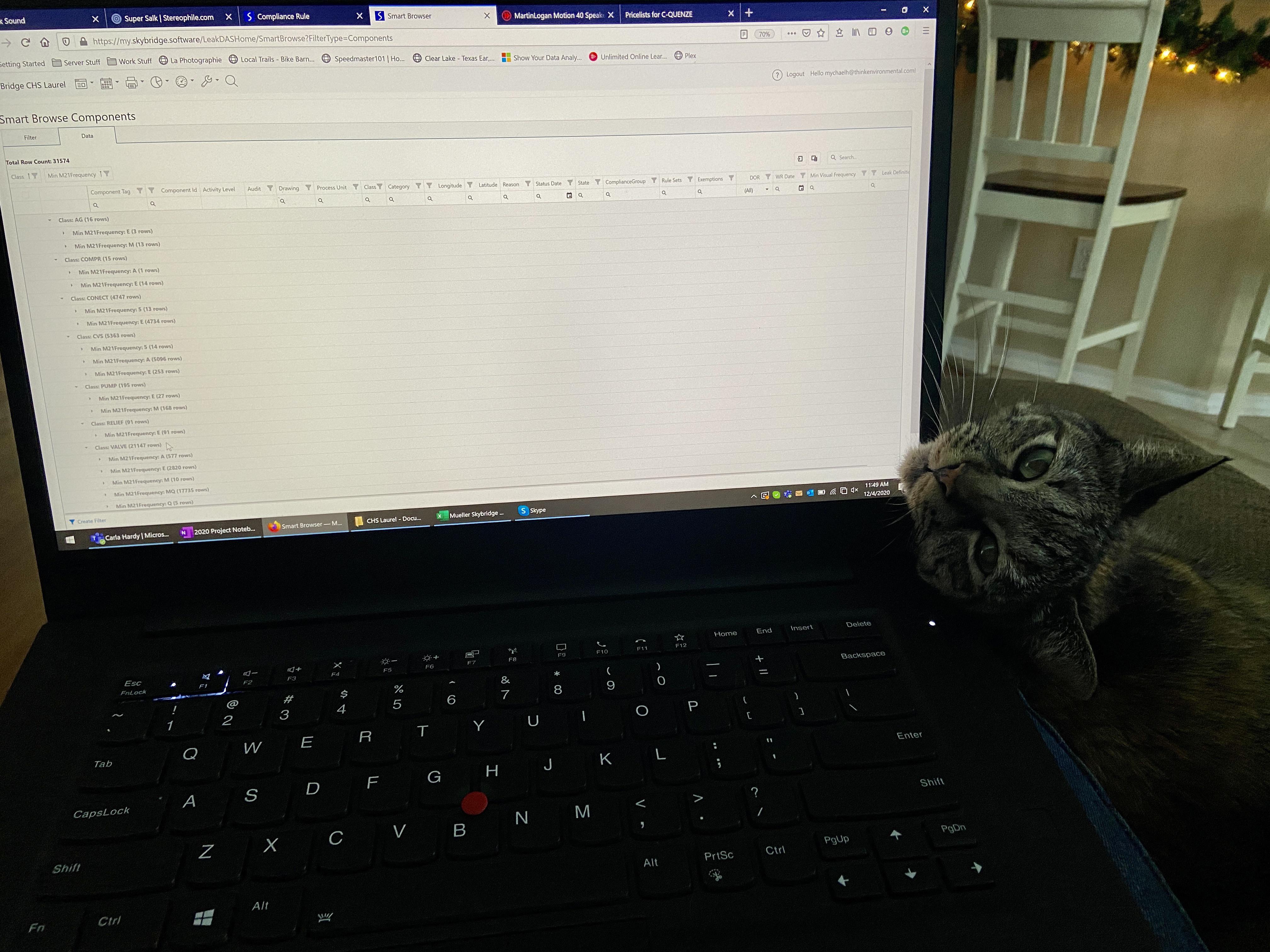 P1 Gen 3 and a tabby | Scrolller