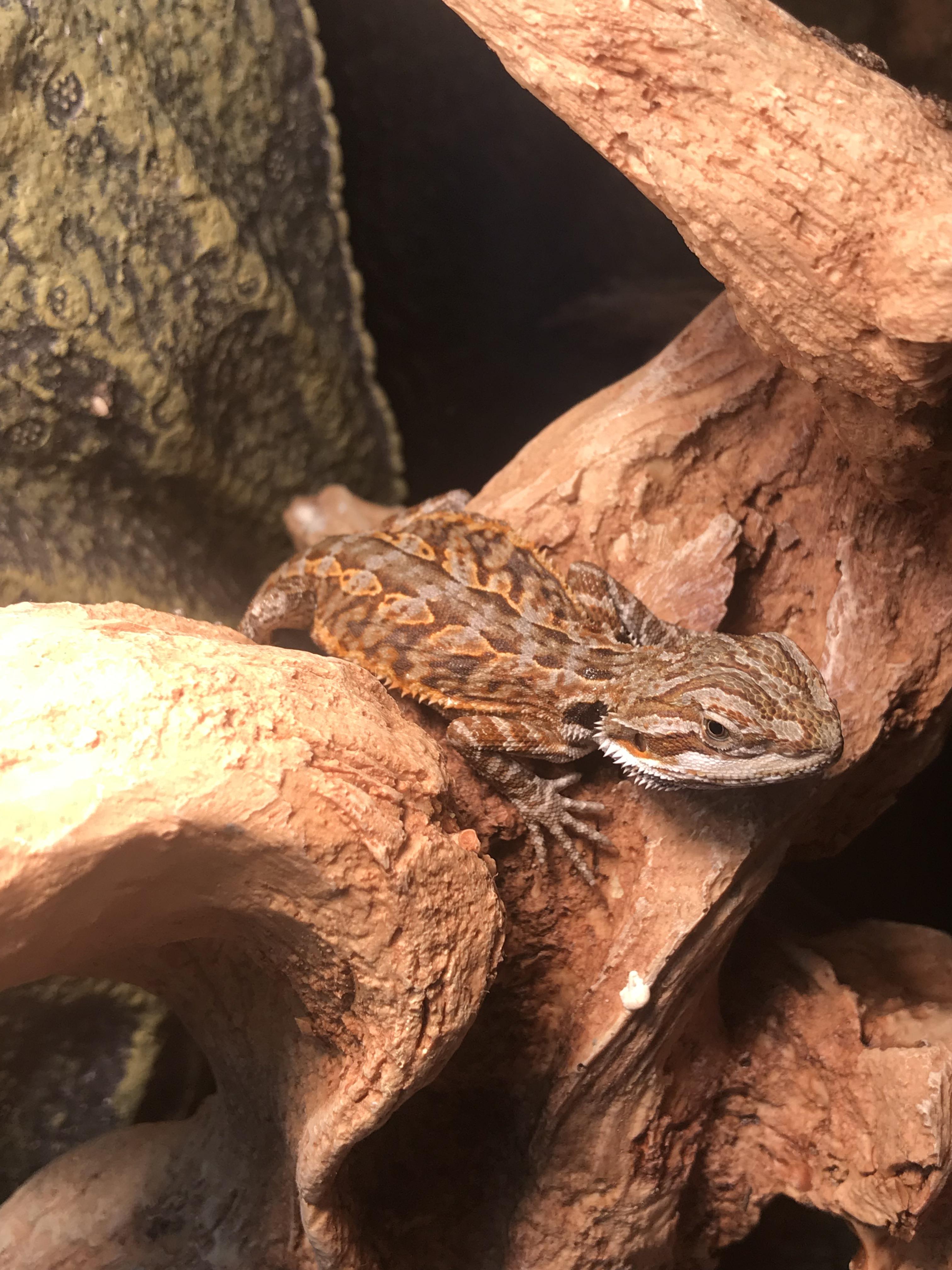 “Pablo Emilio Escobar Gaviria” (: | Scrolller