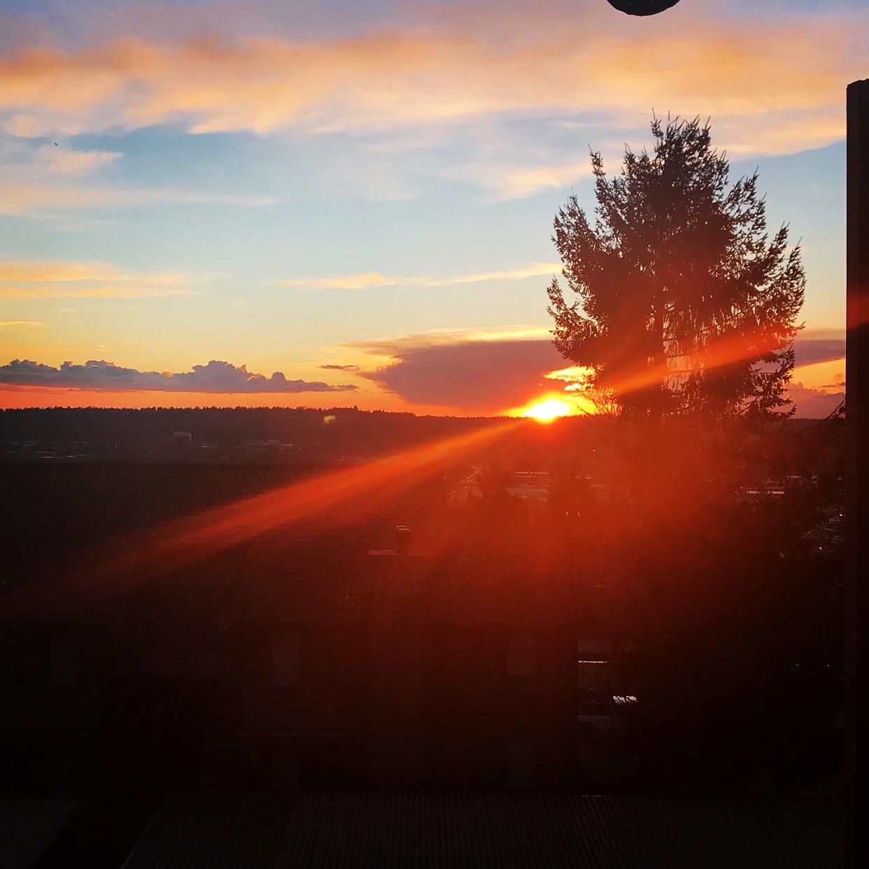 Pacific North West View near Seattle | Scrolller