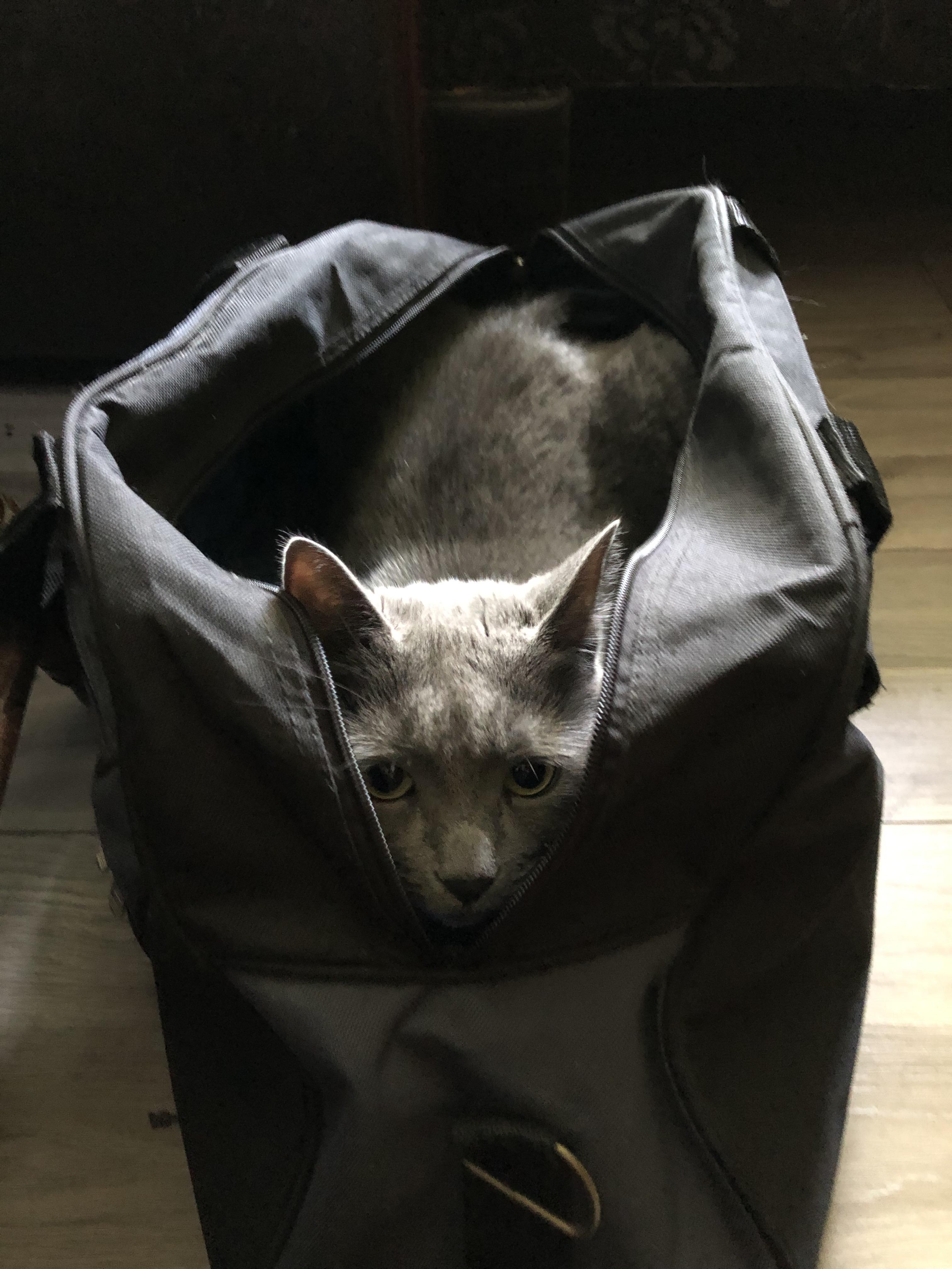 Packing essentials | Scrolller