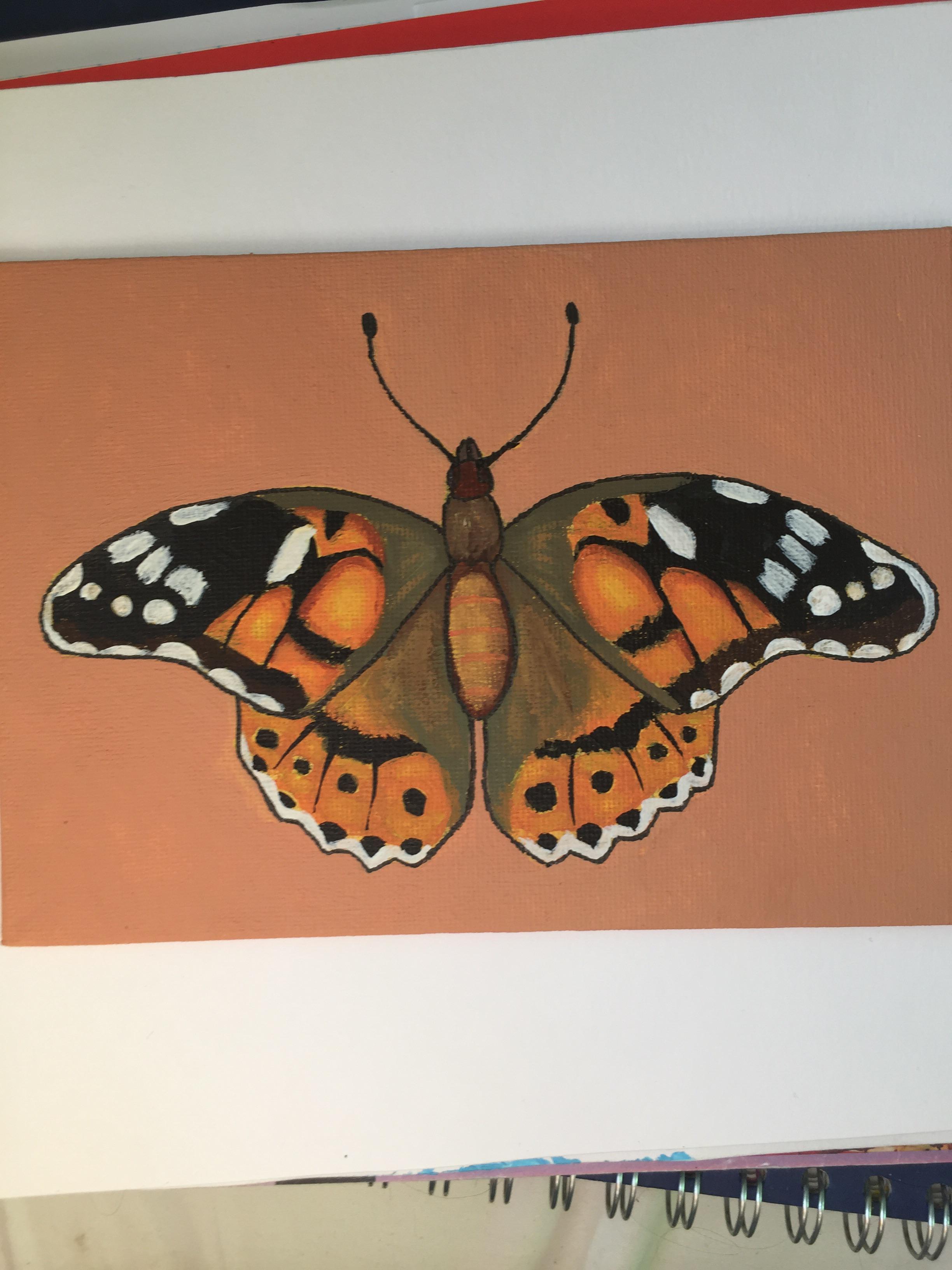 Painting of a painted lady! | Scrolller