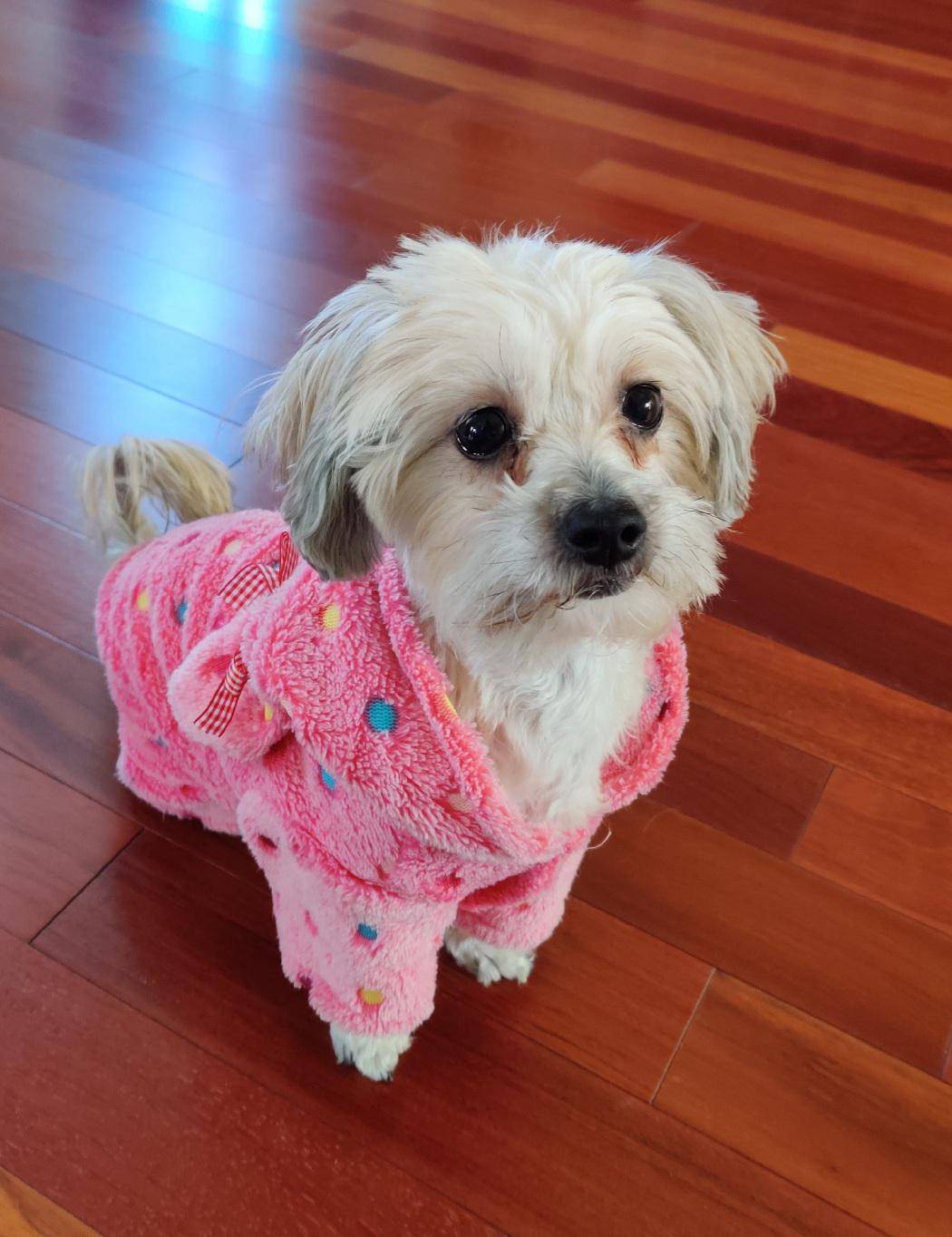 Pajama Party Scrolller
