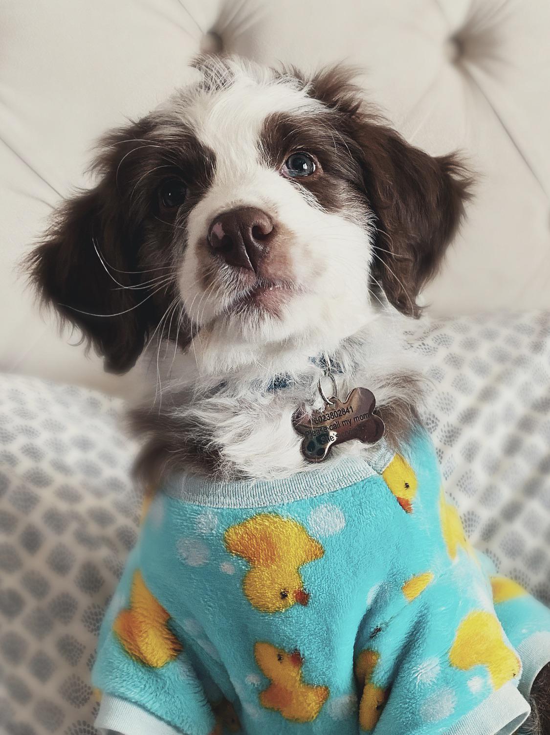 Pajamas after bath time | Scrolller