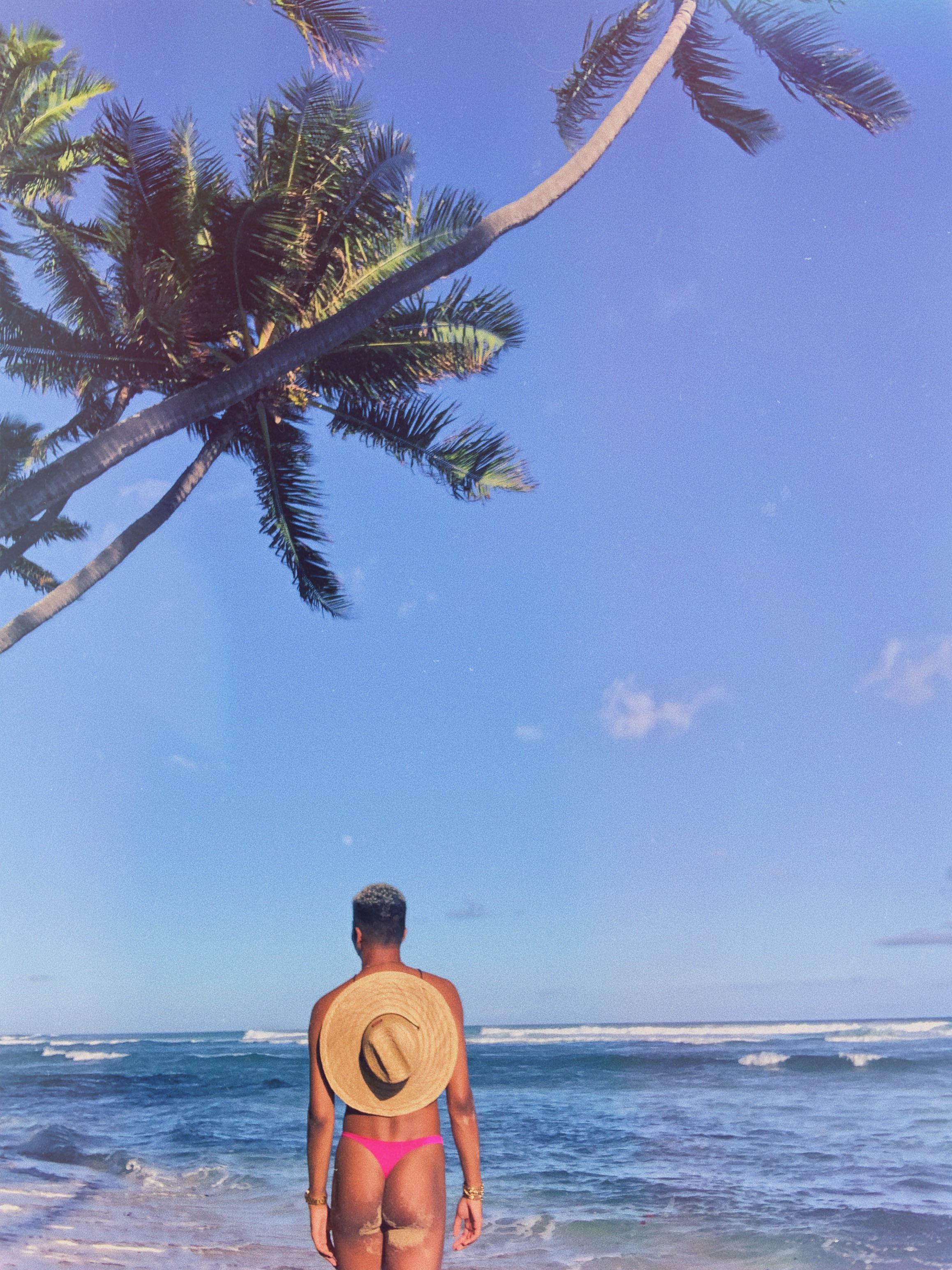 Palm Trees 🌴 | Scrolller