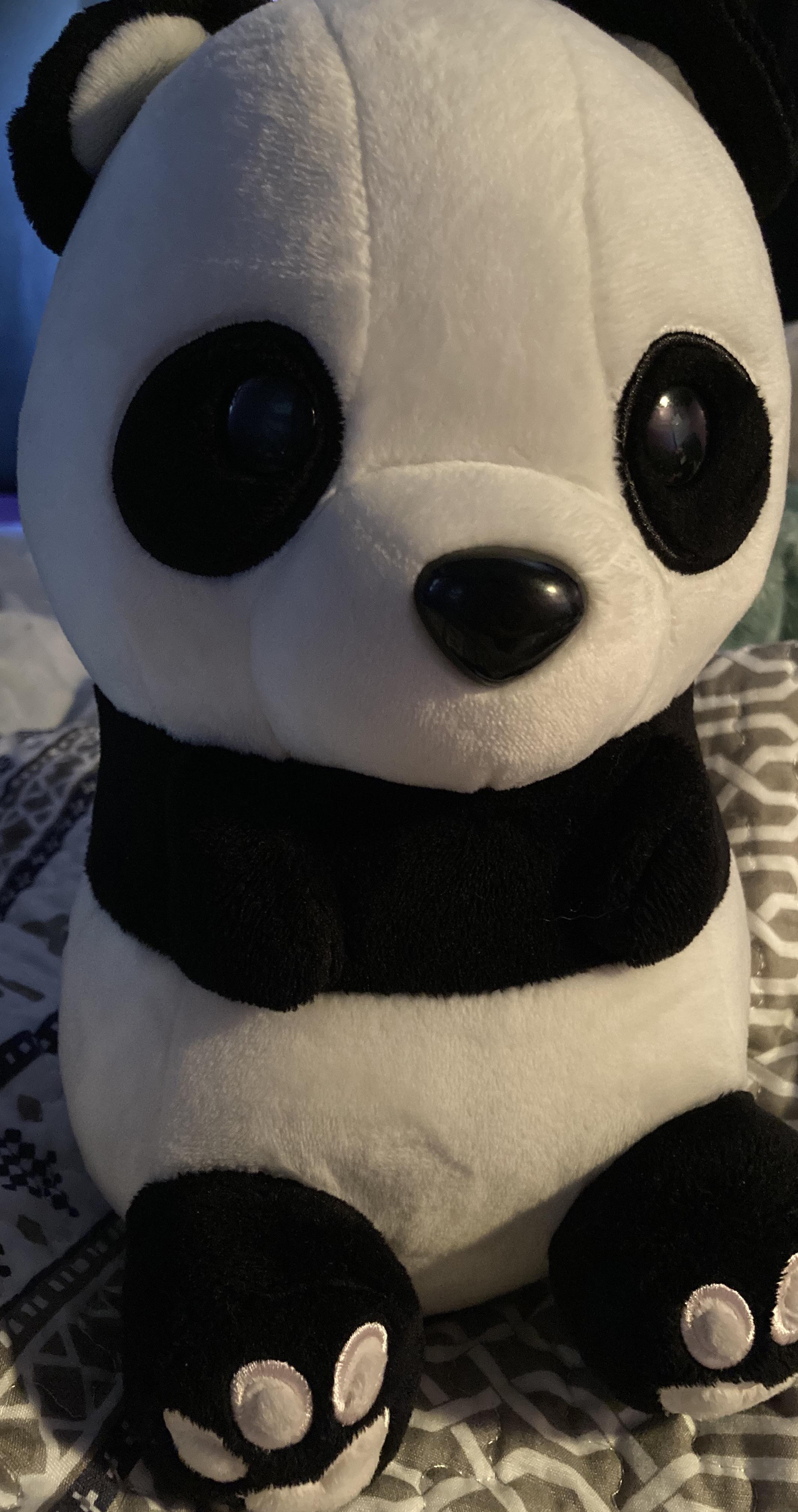 Panda bear 😋🐼 | Scrolller