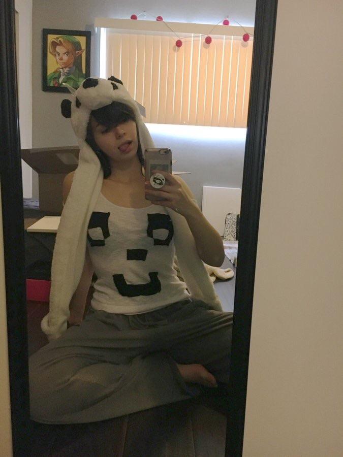 Panda queen | Scrolller