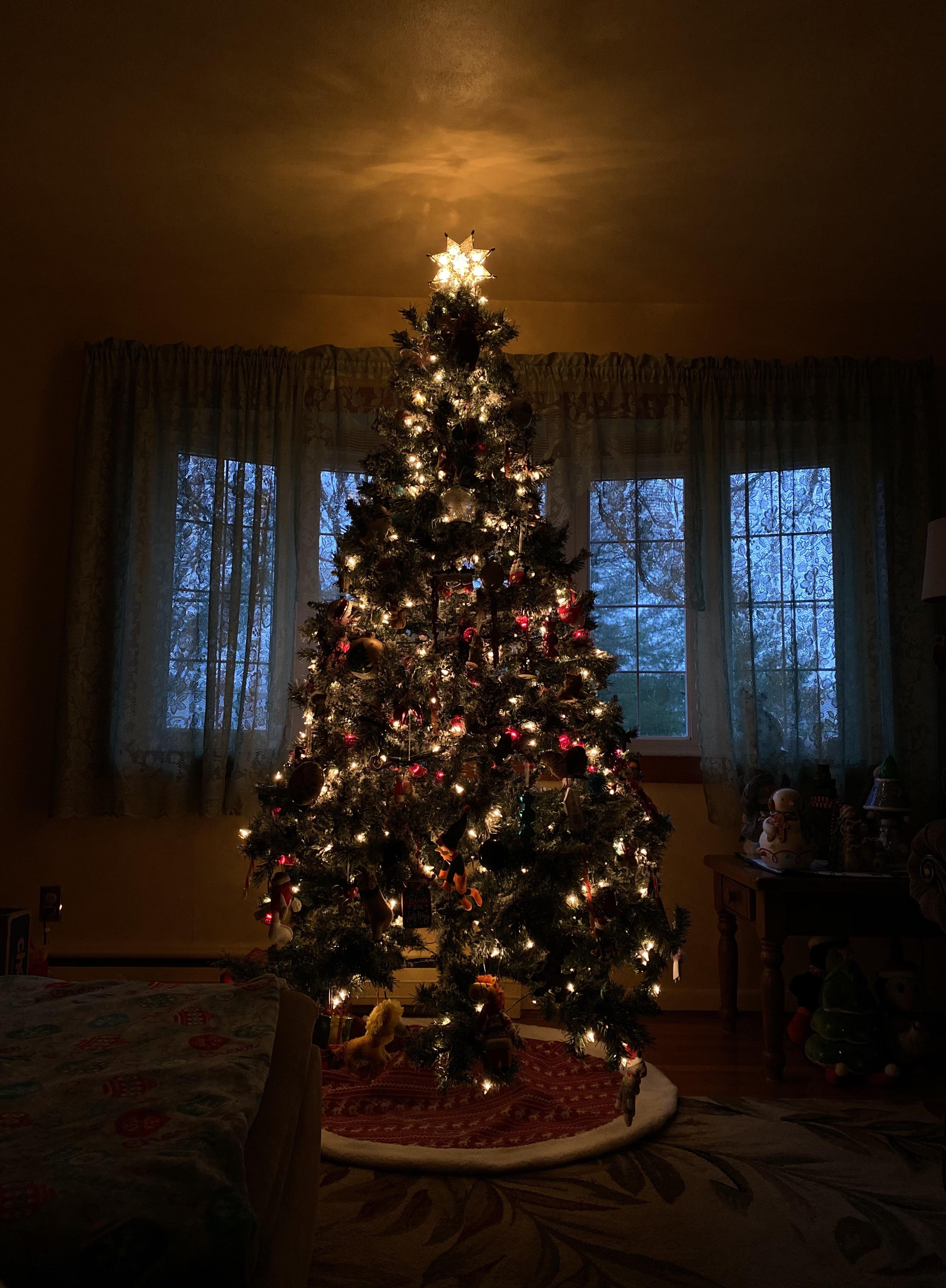 Parents tree | Scrolller