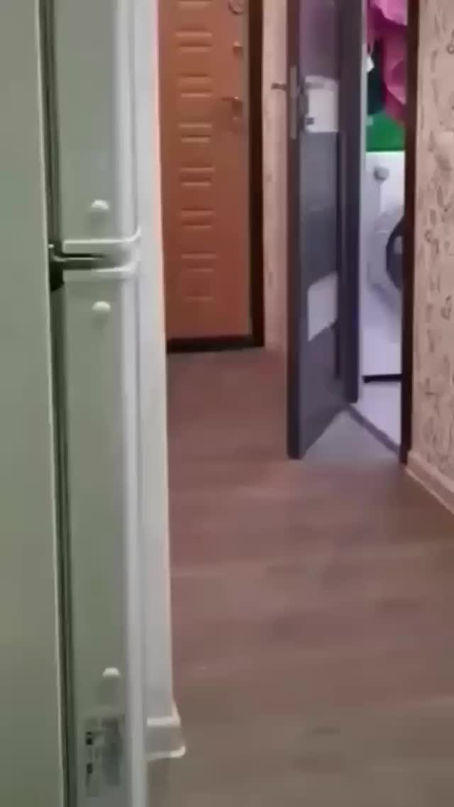 wait.. what...how??? | Scrolller