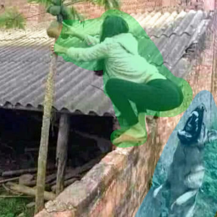 PCM and Another Doggoned Highlighter Meme: | Scrolller