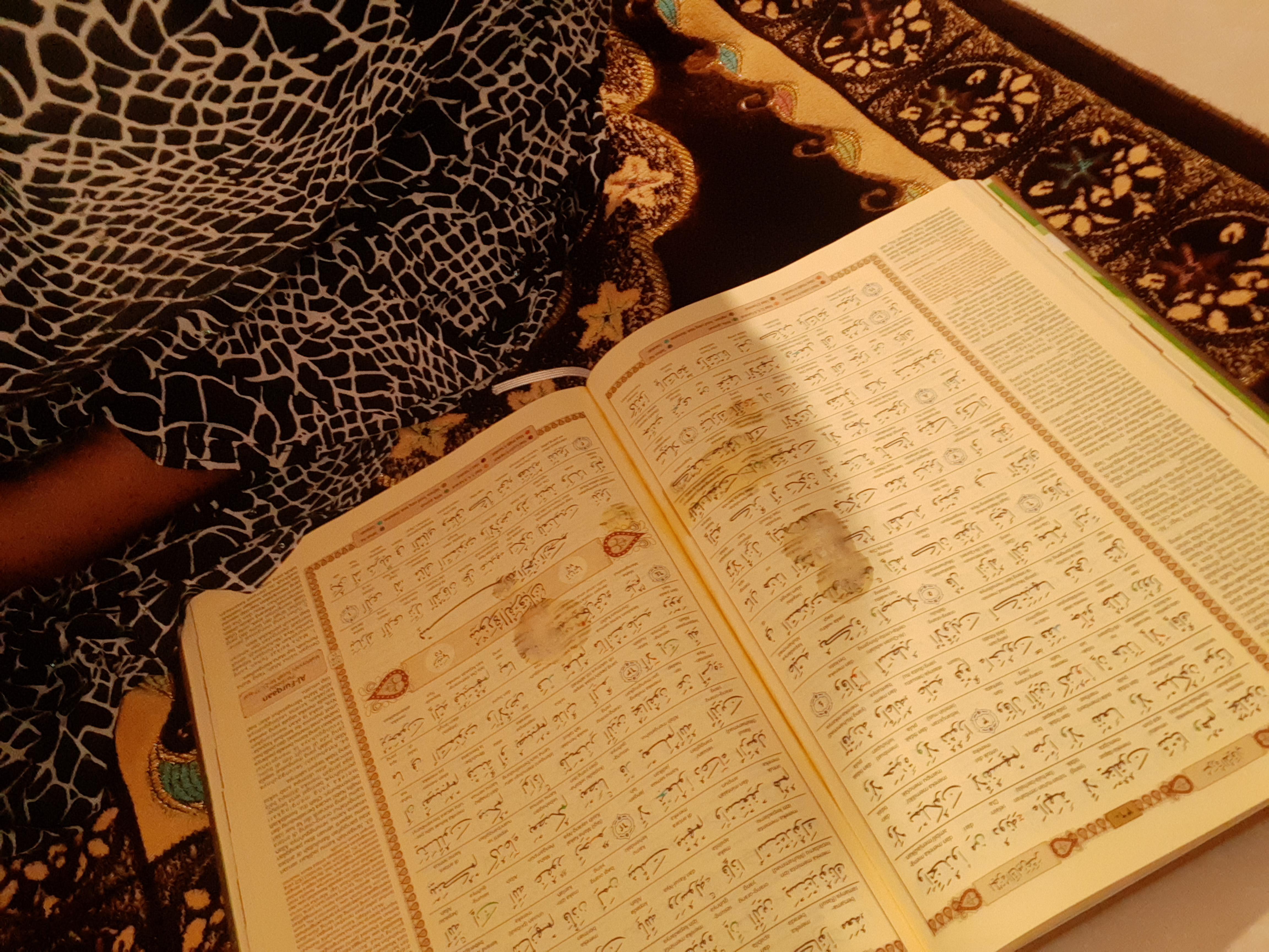 Pee and spit at SHITTY QUR'AN... | Scrolller