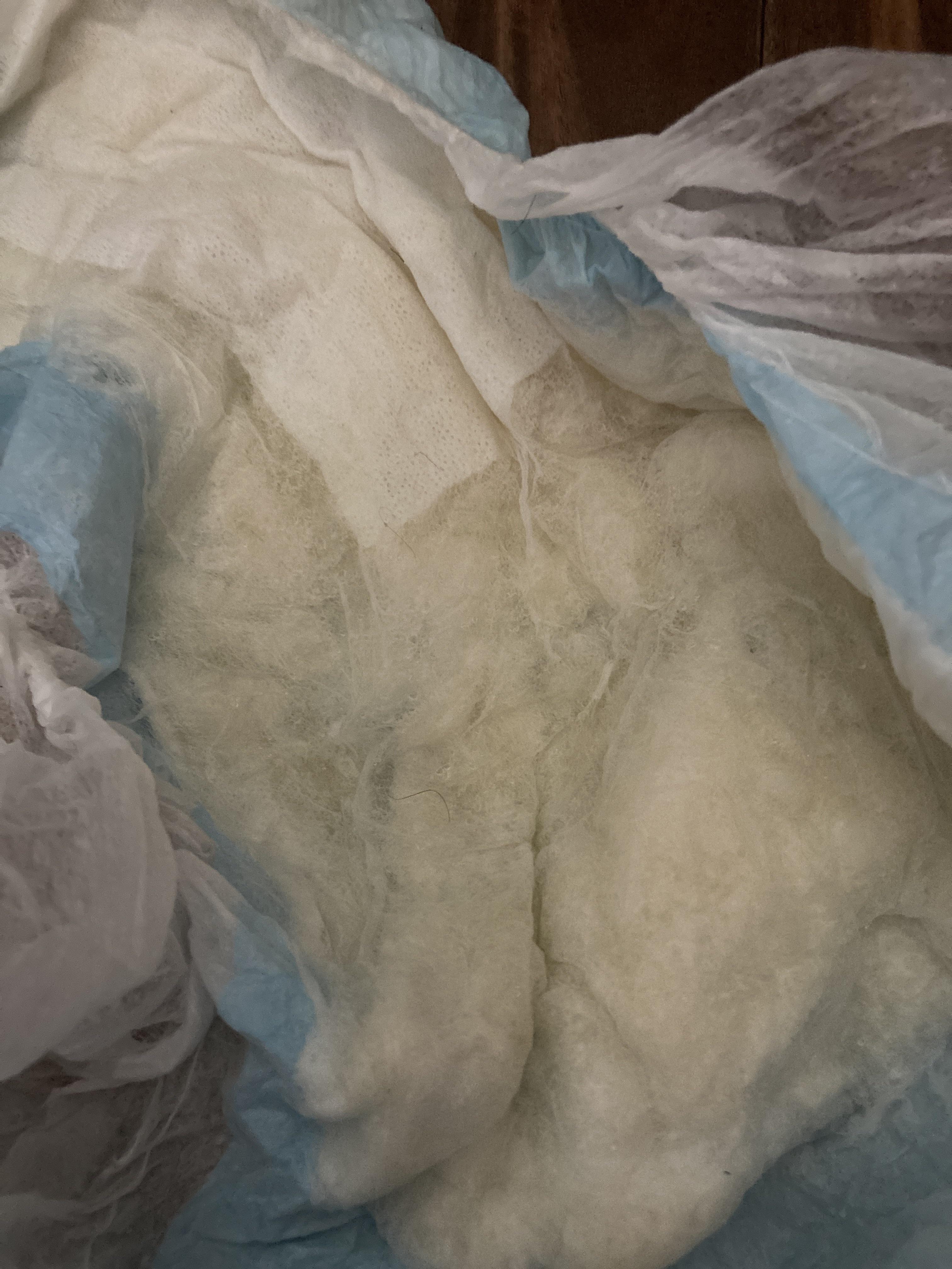 Peed in my diaper 🥺I’m so naughty sir | Scrolller