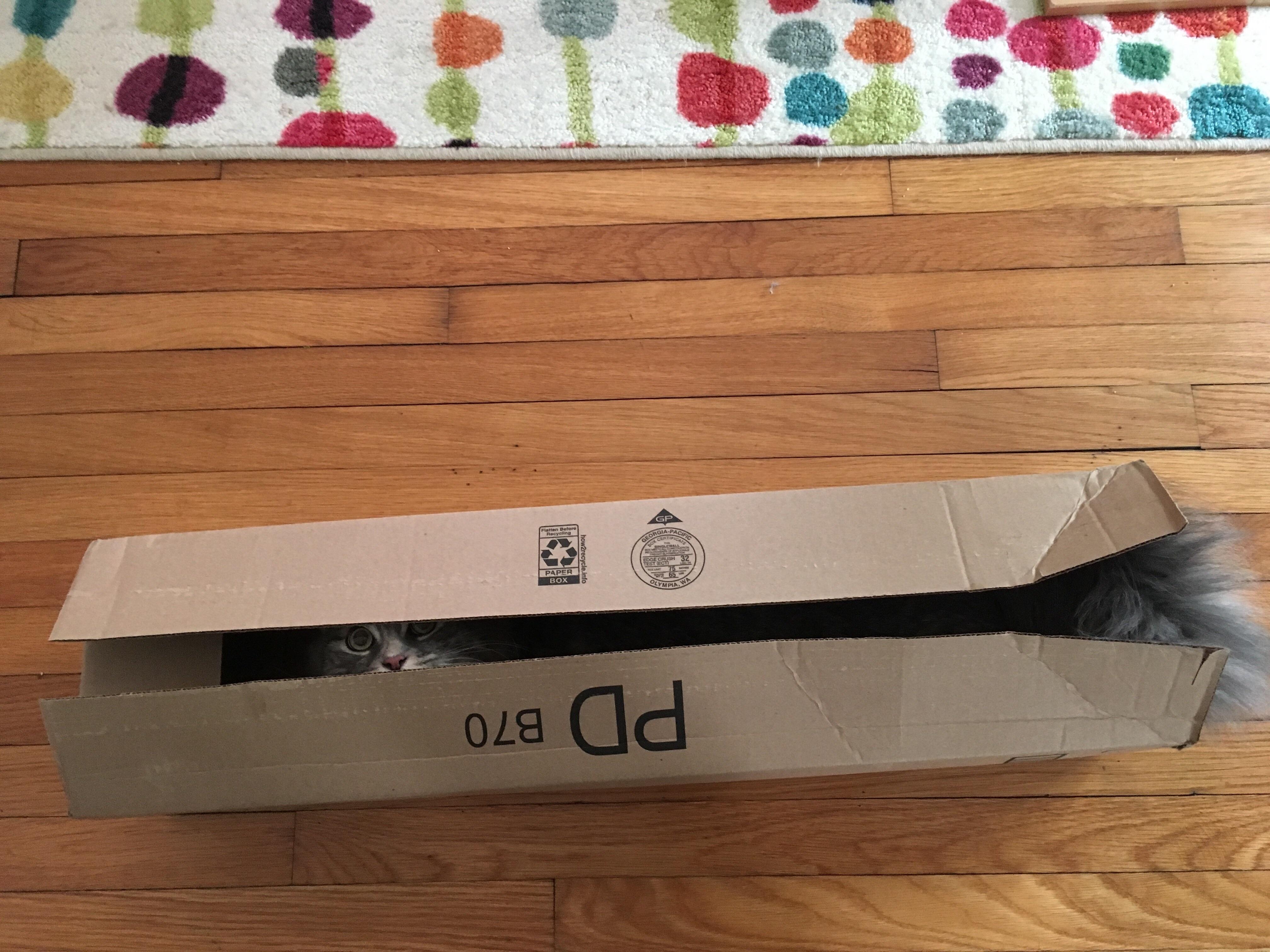 Peek-a-box | Scrolller