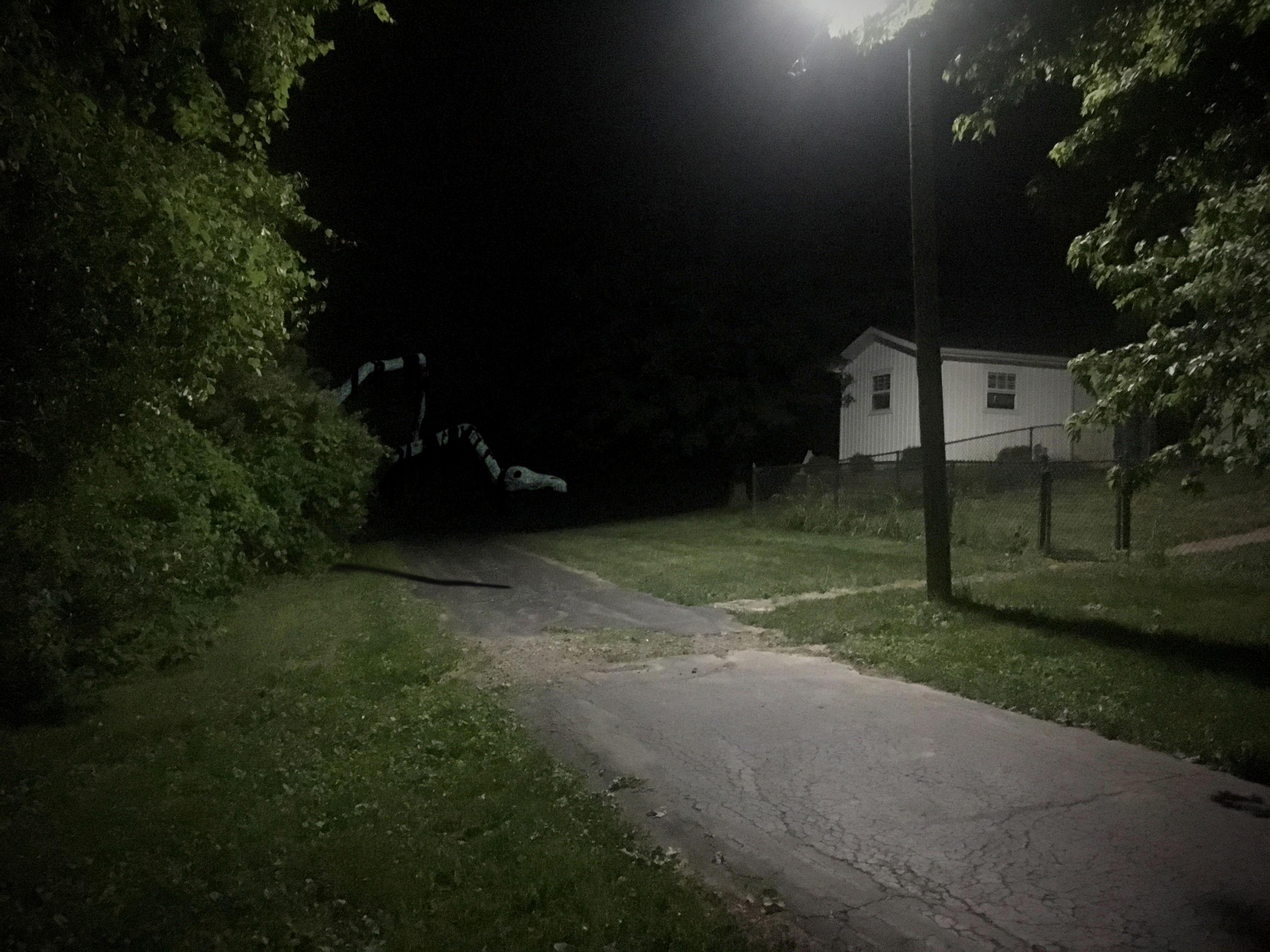 Peeking. | Scrolller